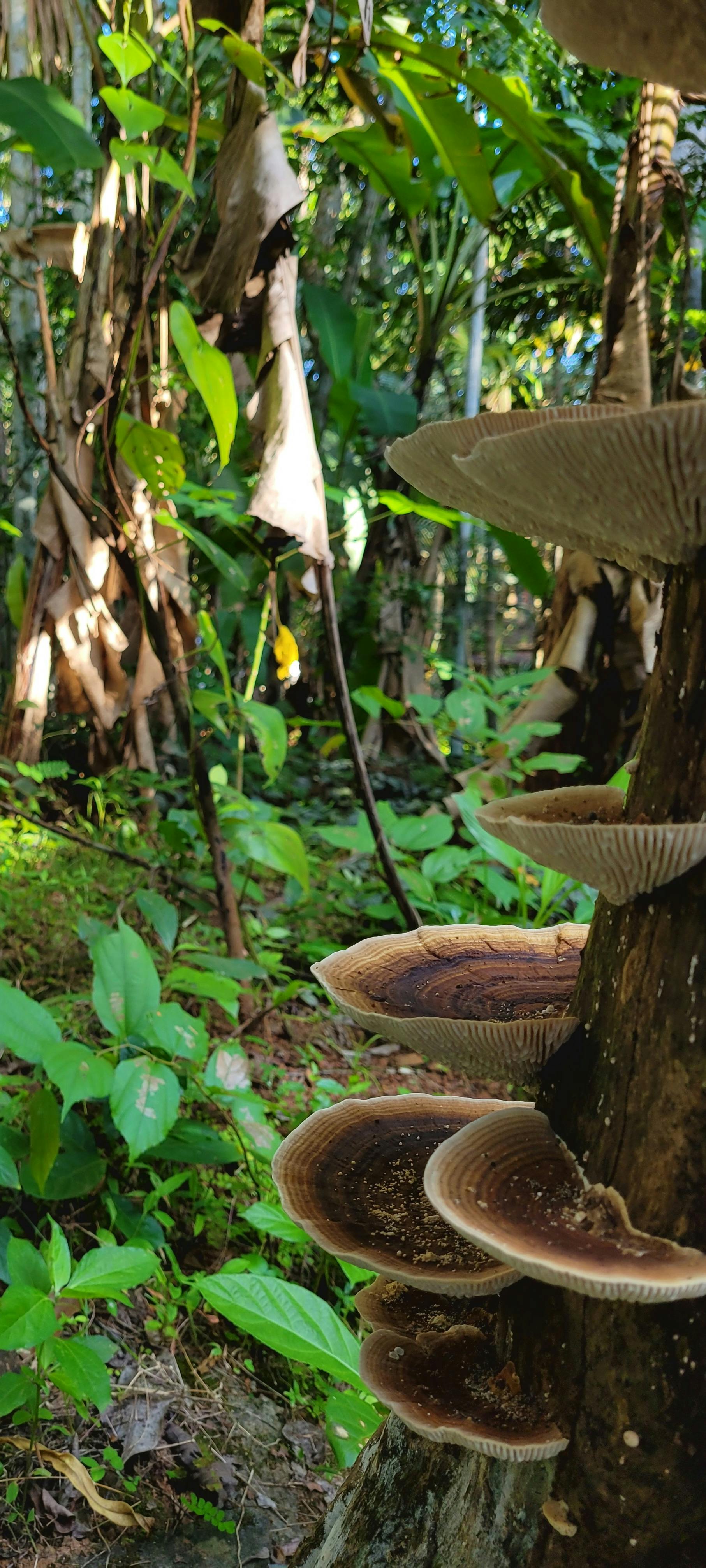 Rafeeque K - Photography