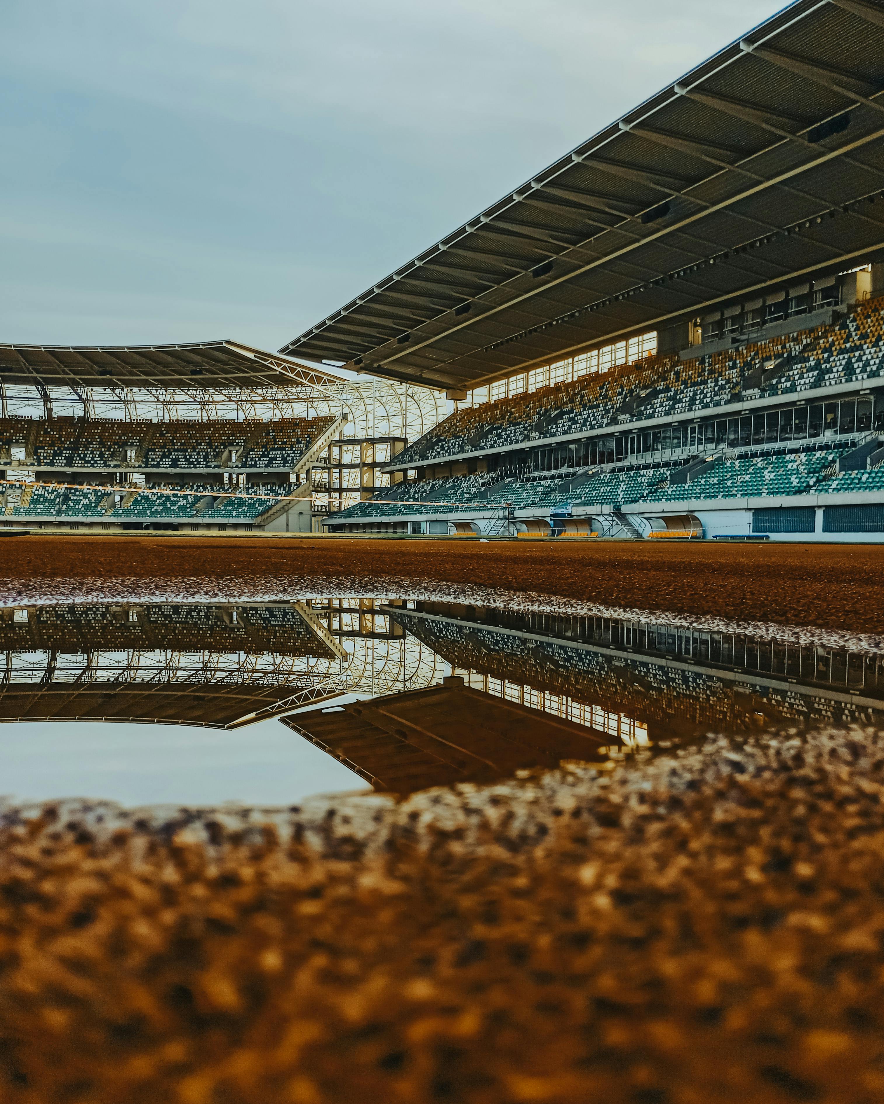 ABCDee David - Photography