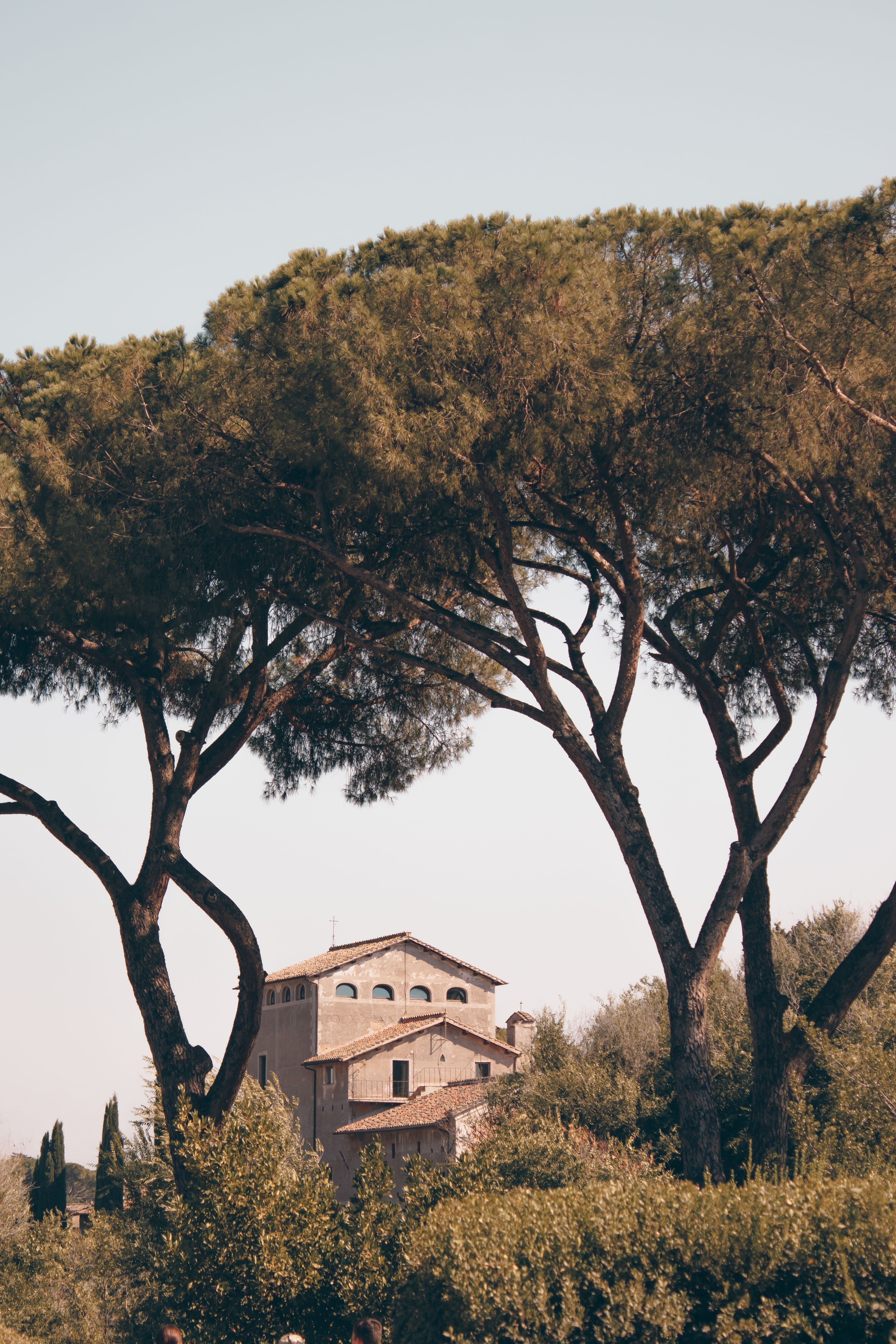 Building behind Trees in Countryside · Free Stock Photo