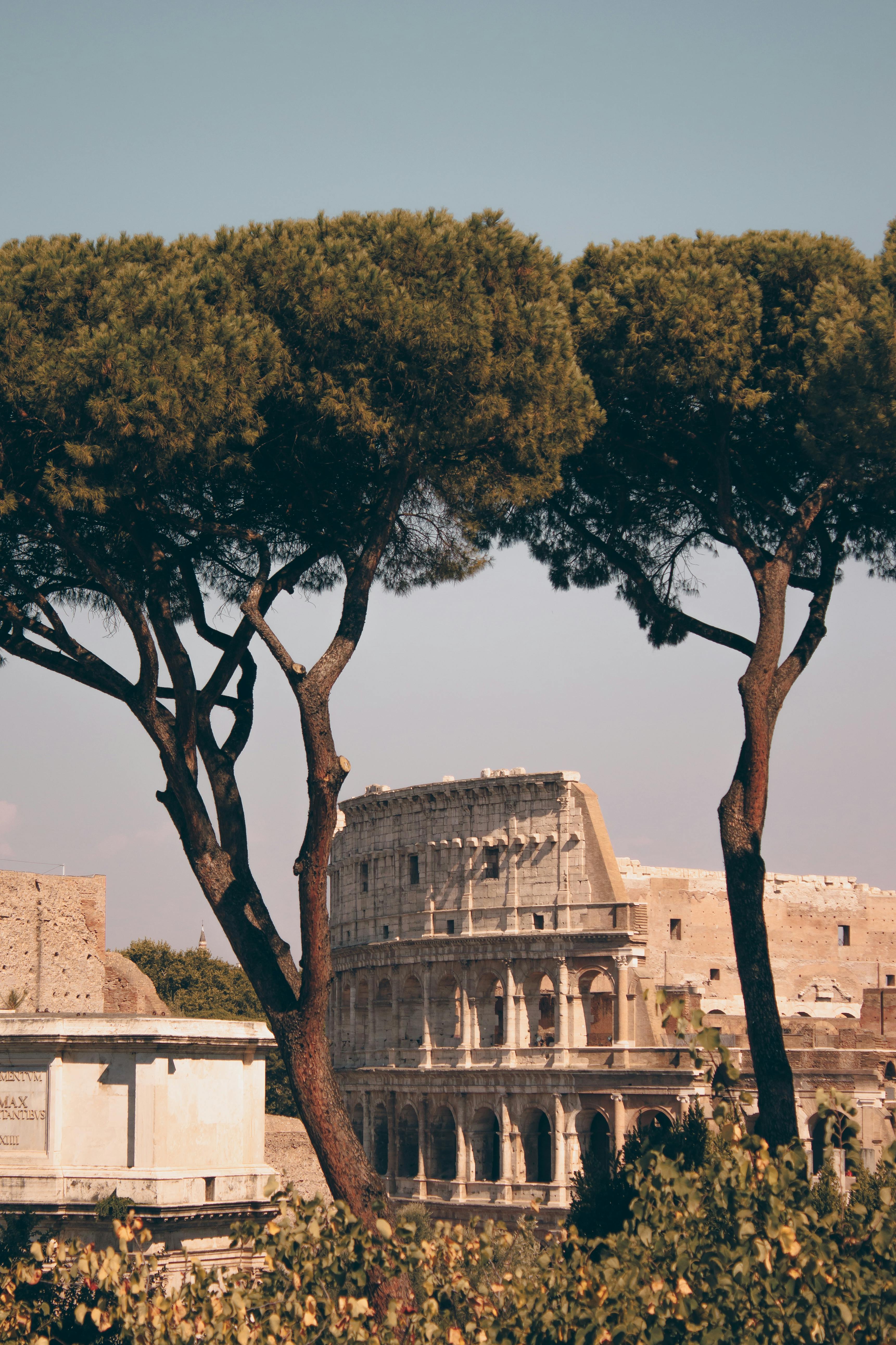 Colosseum behind Trees · Free Stock Photo