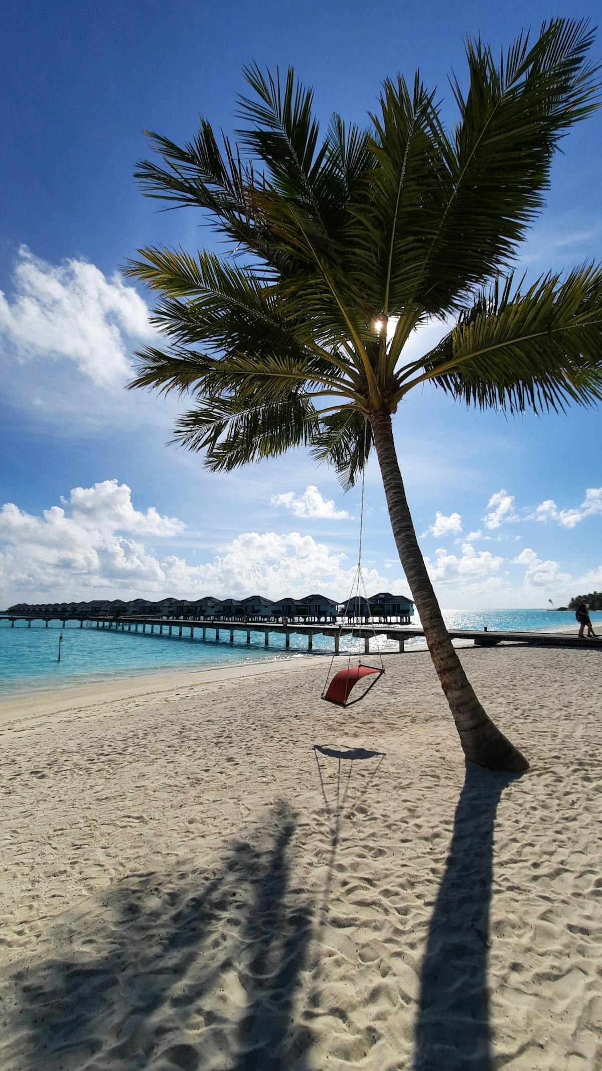 Ocean Beach Photos, Download The BEST Free Ocean Beach Stock Photos ...