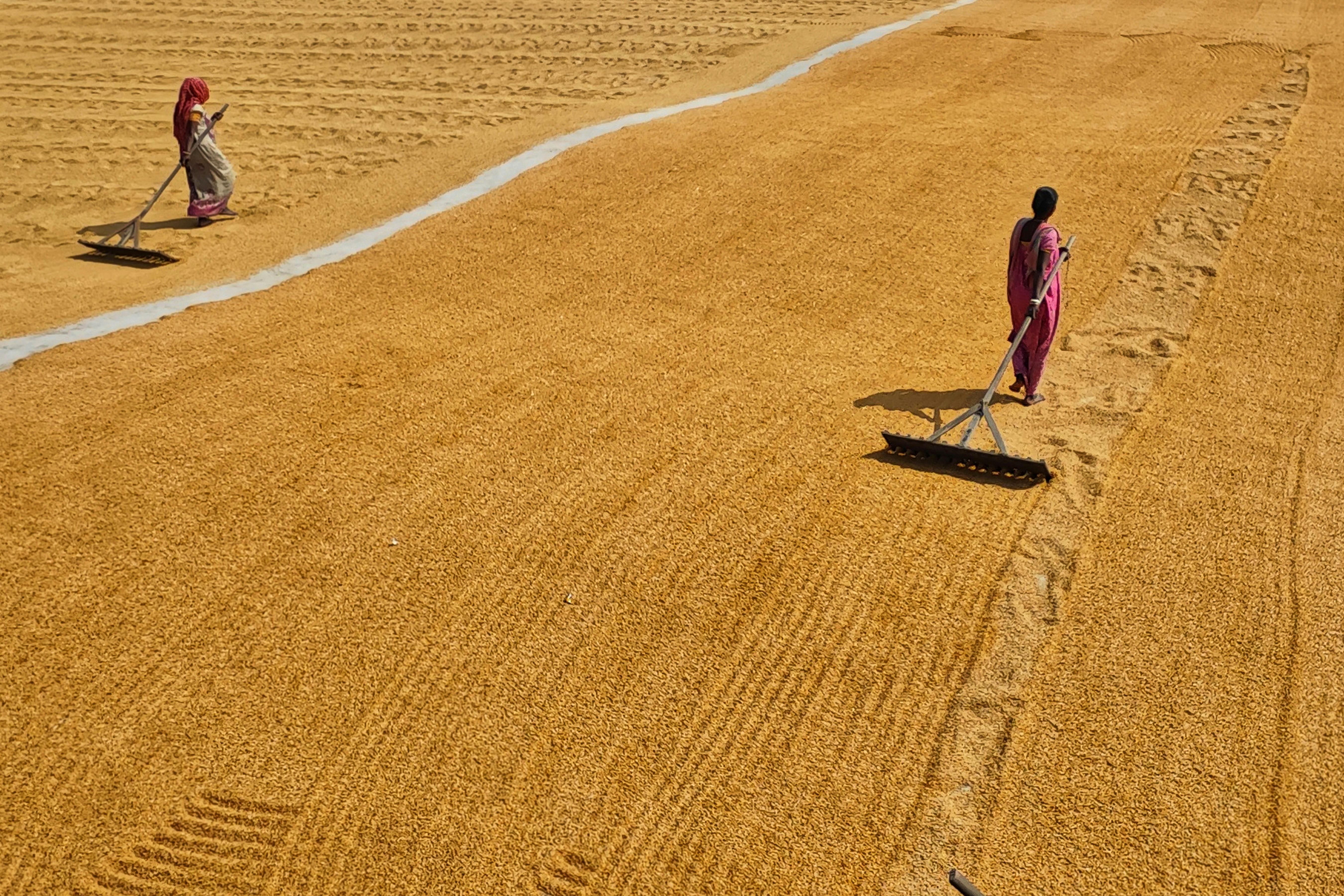 Aerial View of People Spreading Grains to Dry in the Sun · Free Stock Photo