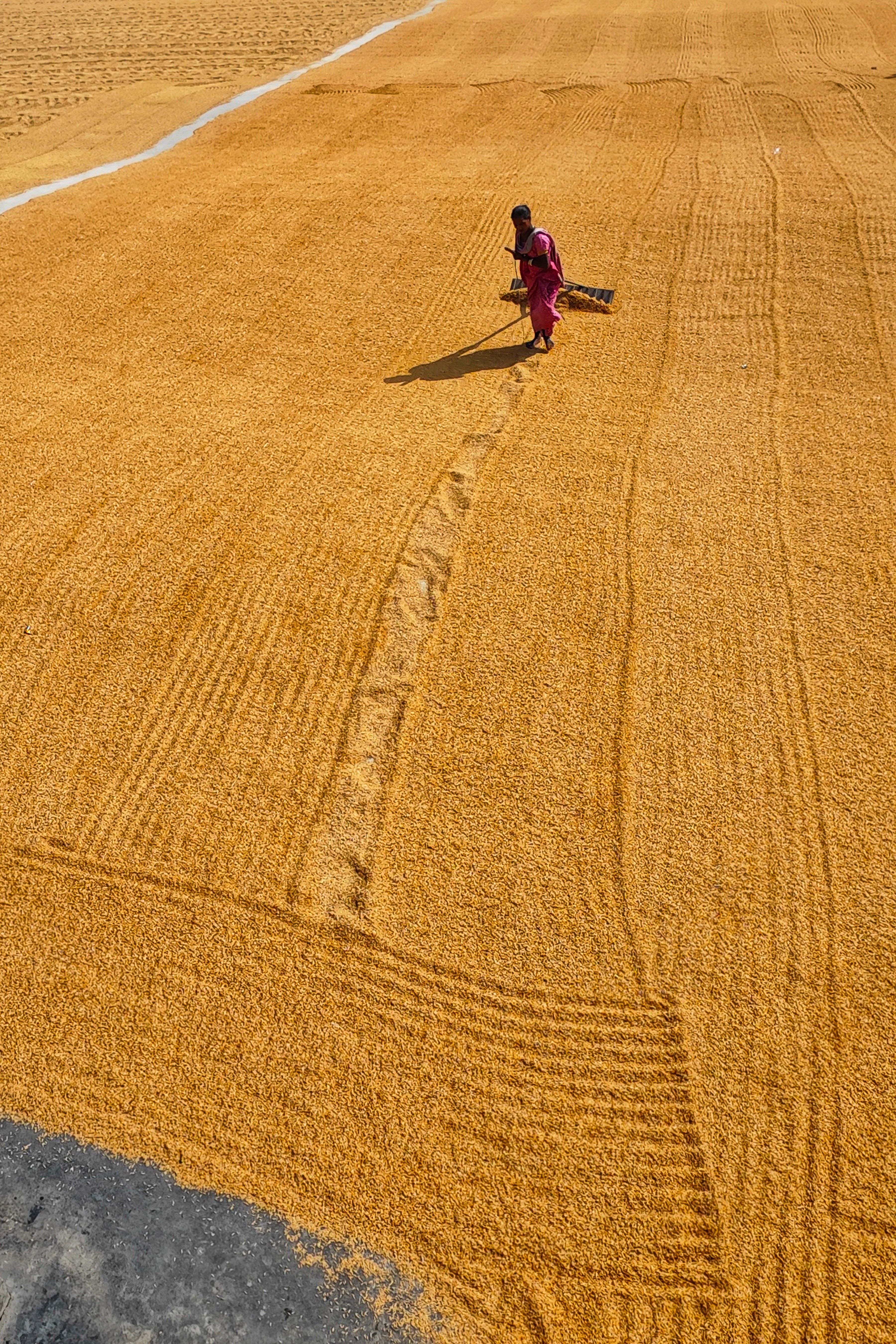 Aerial View of a Woman Spreading Grains to Dry in the Sun · Free Stock ...