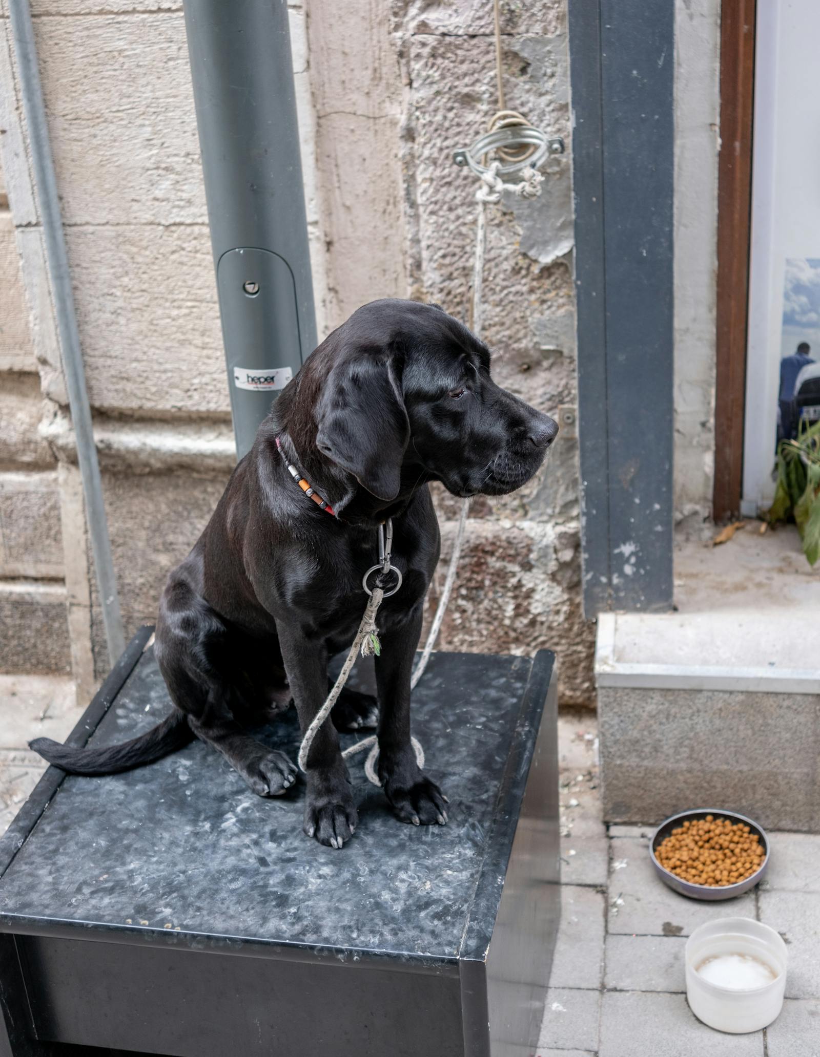 Black Ppl Photos, Download The BEST Free Black Ppl Stock Photos & HD Images