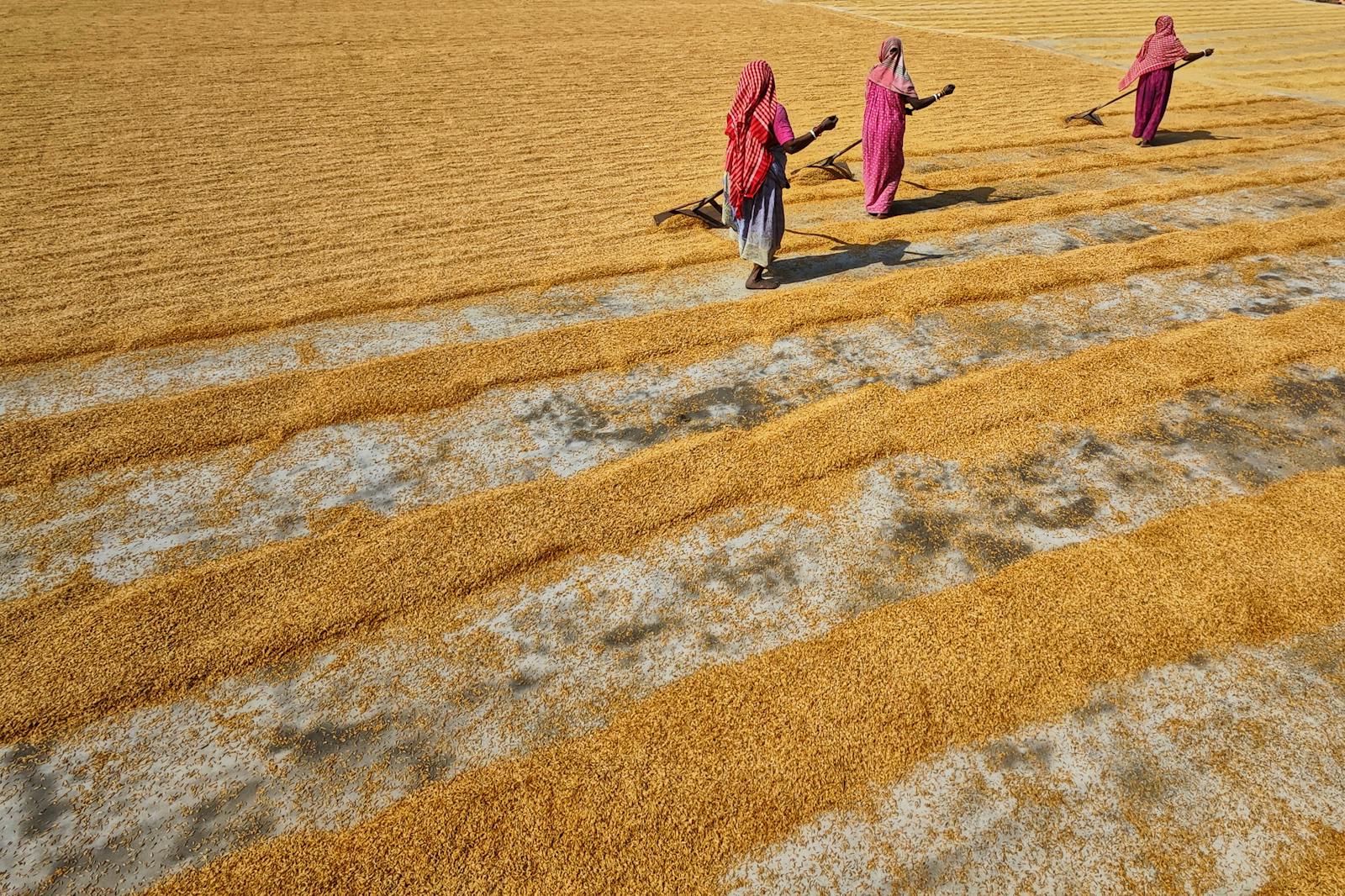 Indian Women Spreading Creme Photos, Download The BEST Free Indian ...