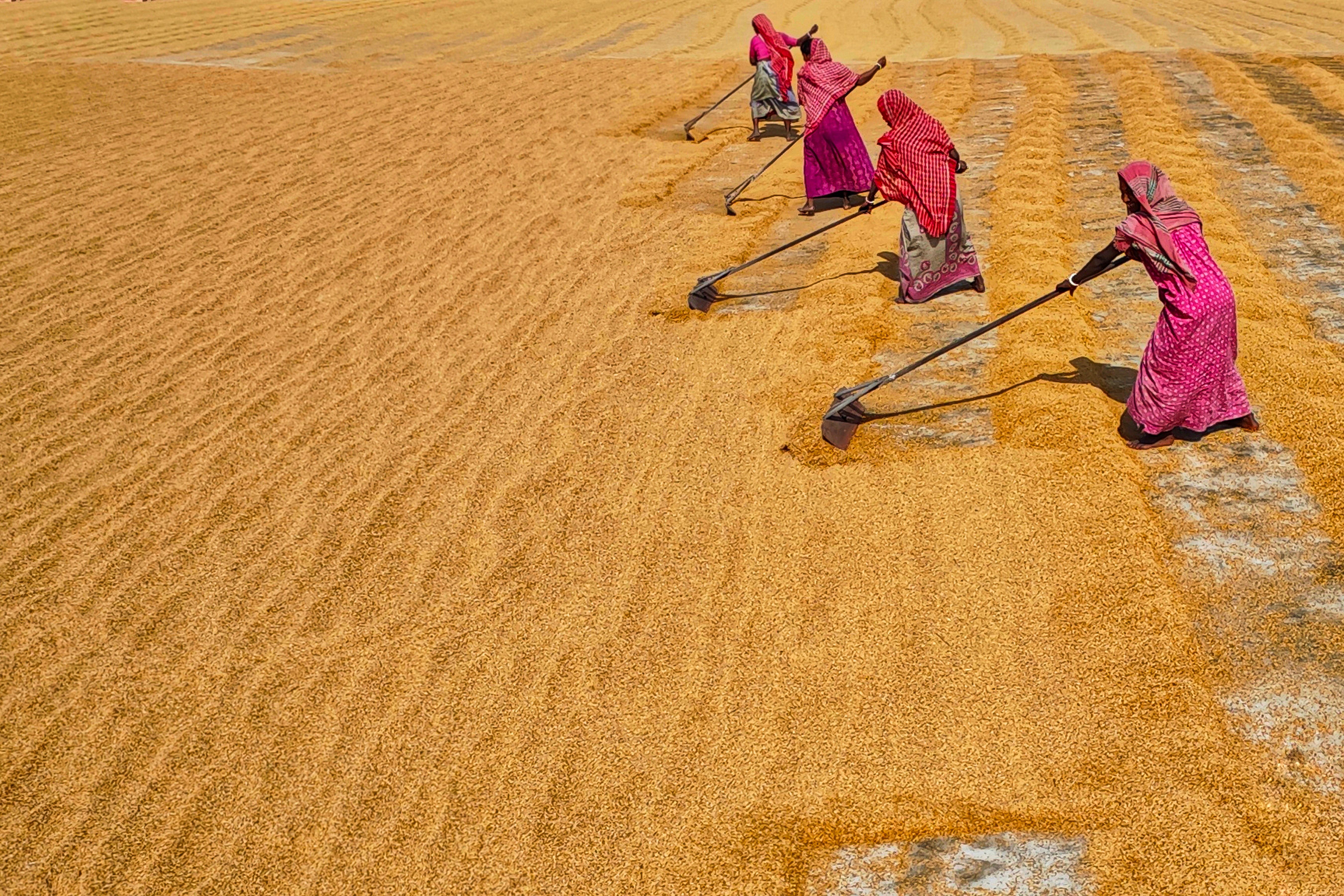 Peasant Work Photos, Download The BEST Free Peasant Work Stock Photos ...