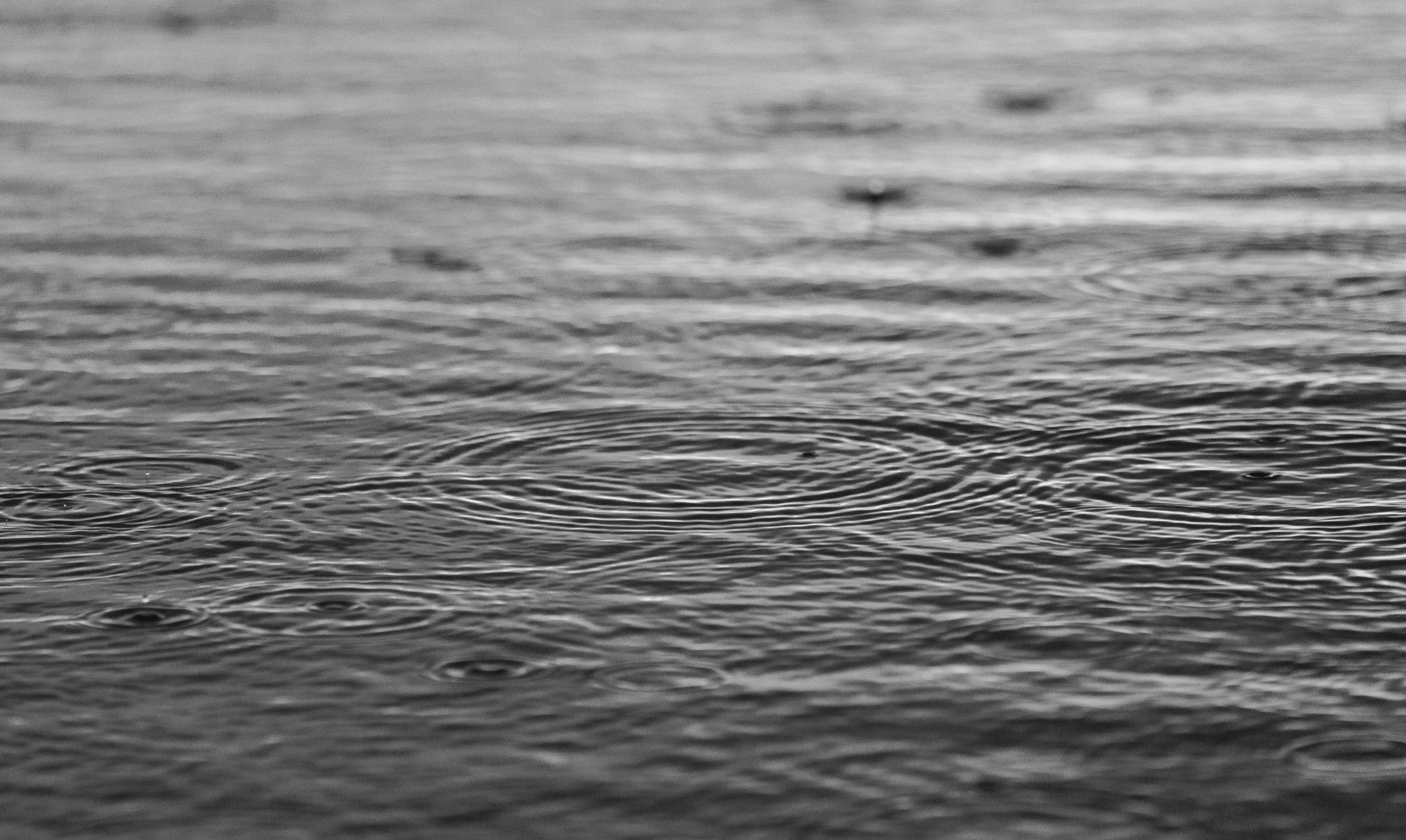 Closeup of Raindrops Hitting the Surface of Water · Free Stock Photo