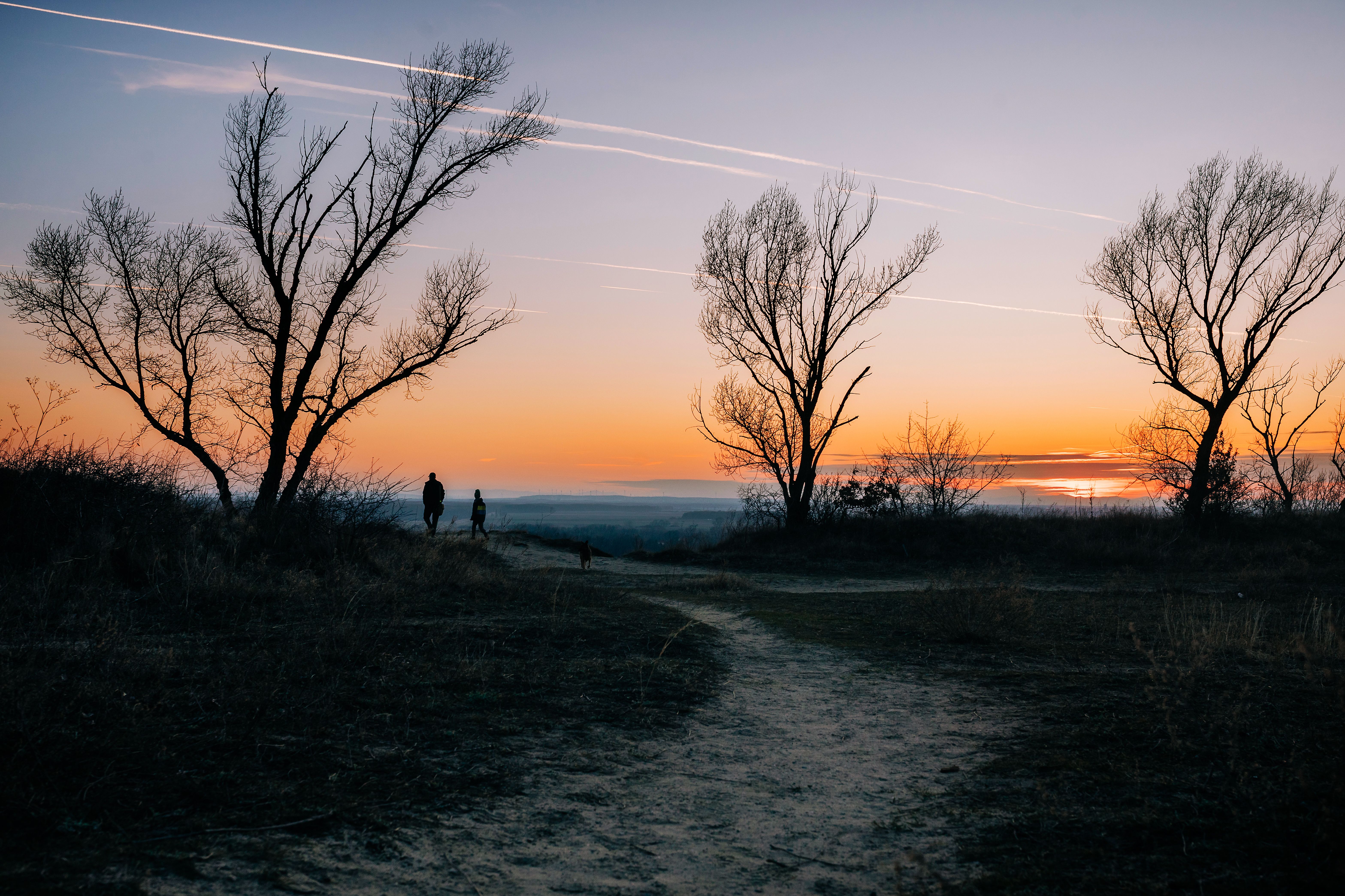 People Walking on Footpath in Countryside · Free Stock Photo