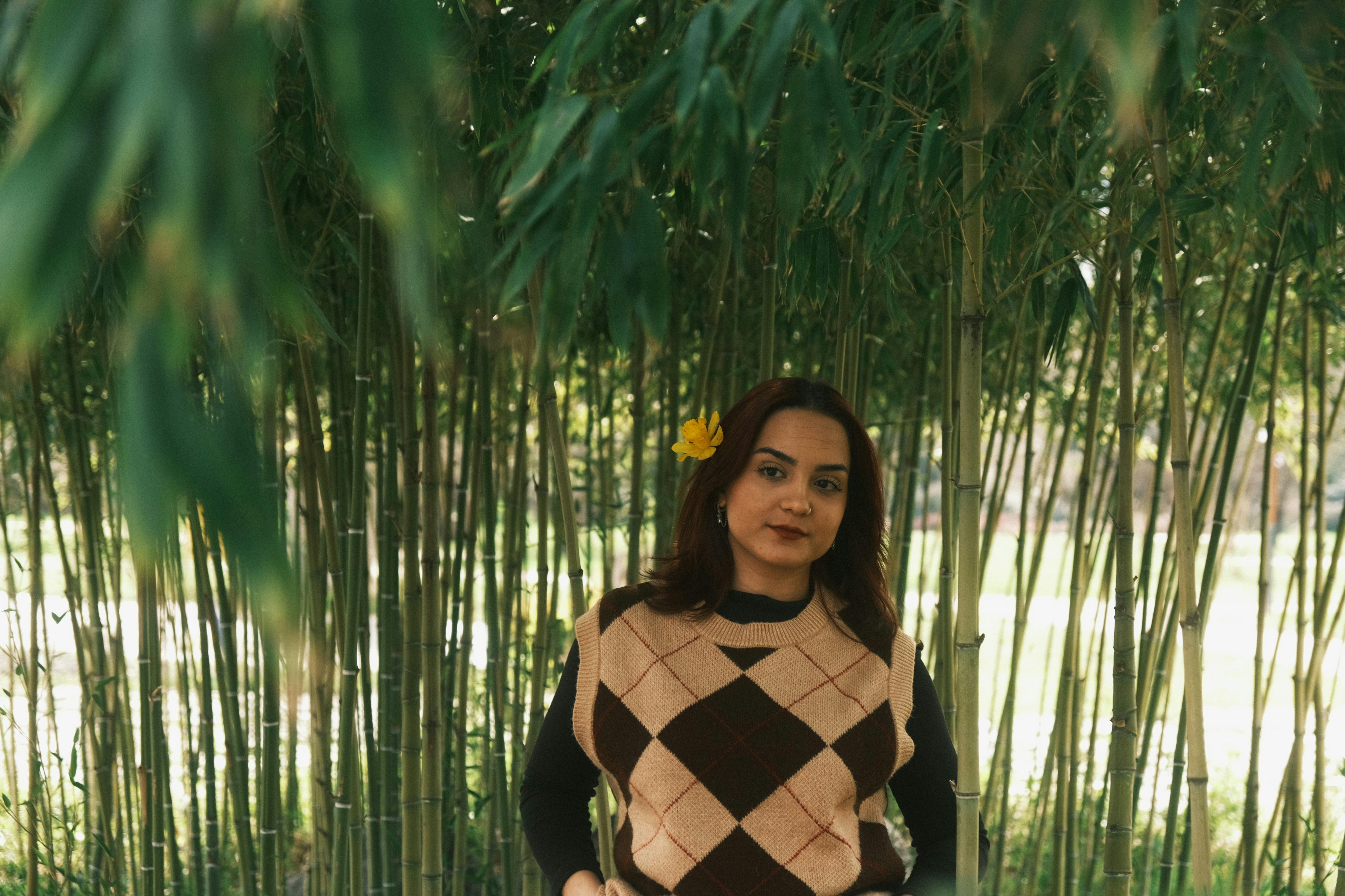 Woman in Check Sweater against Bamboo Trees · Free Stock Photo