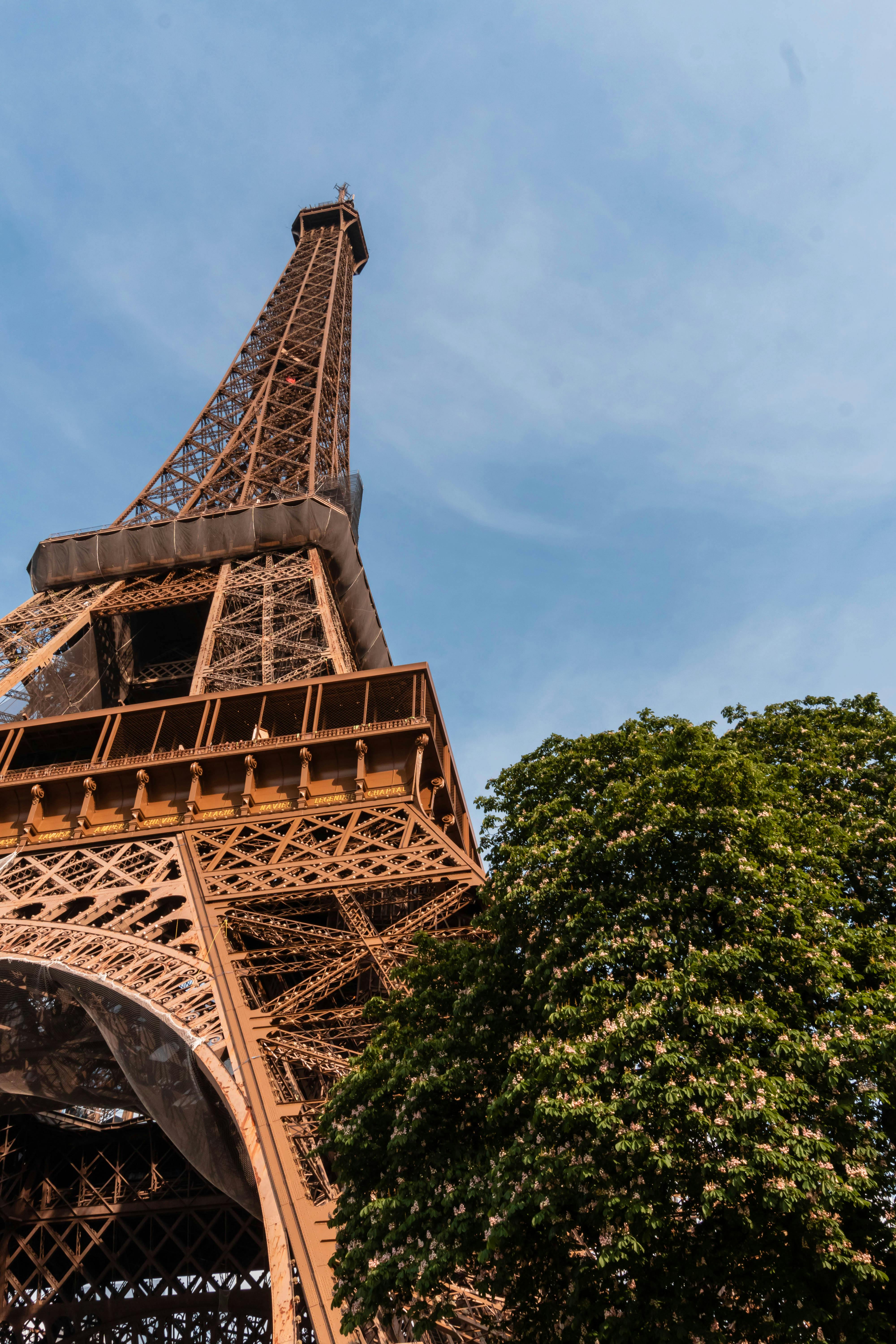 Low Angle View of the Eiffel Tower · Free Stock Photo