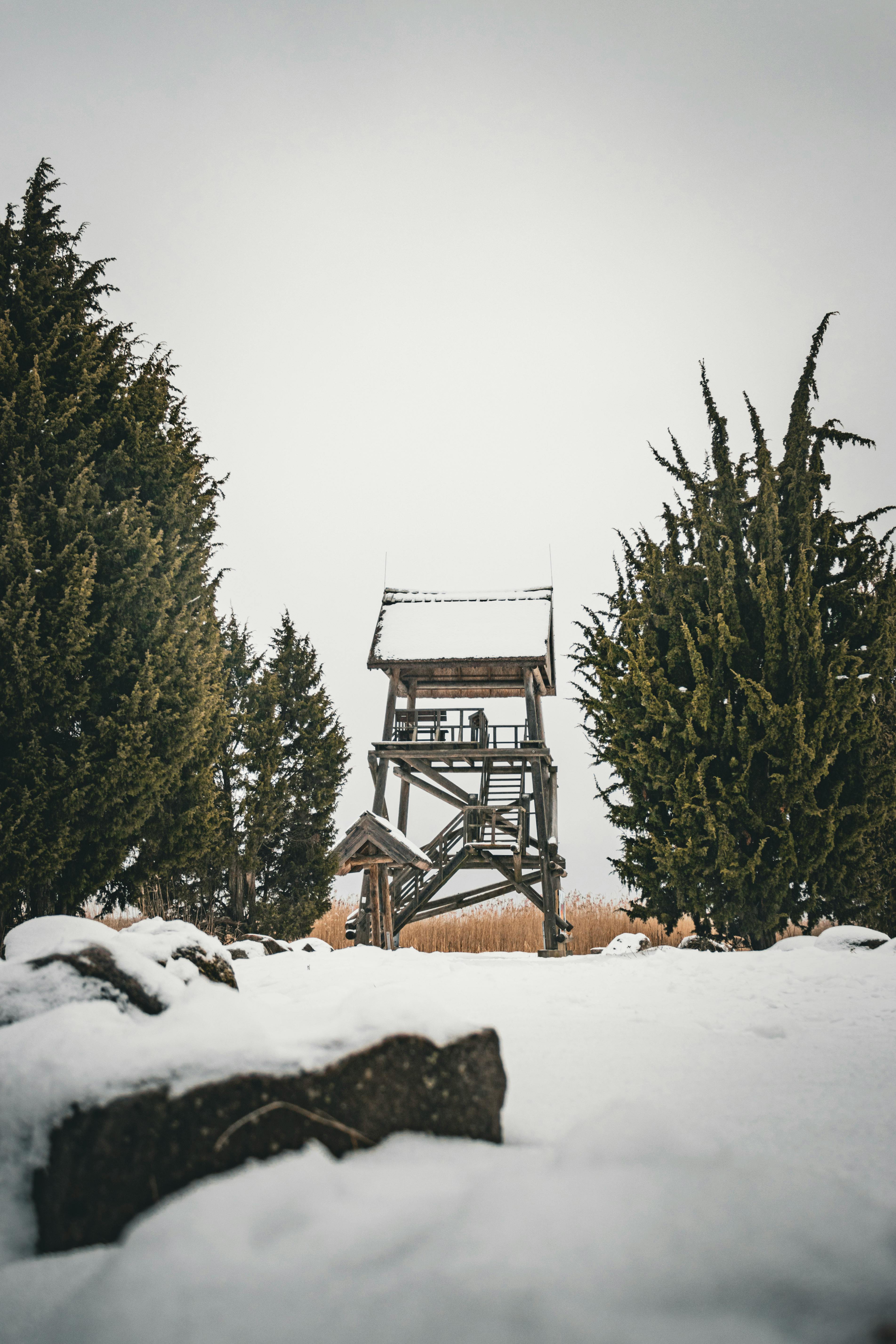 A Watchtower in Winter · Free Stock Photo
