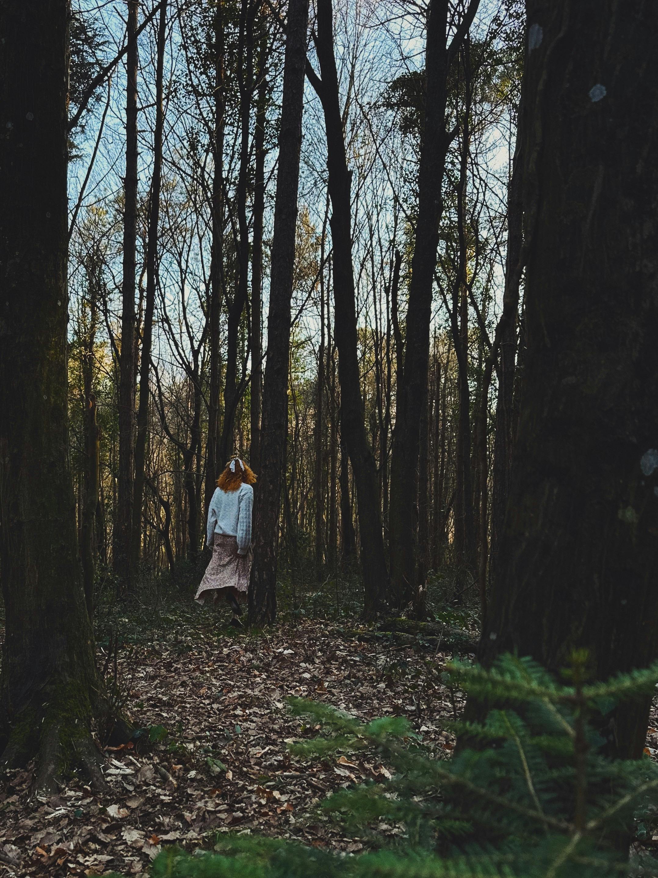 Woman in Sundress Walking among Trees in Forest · Free Stock Photo