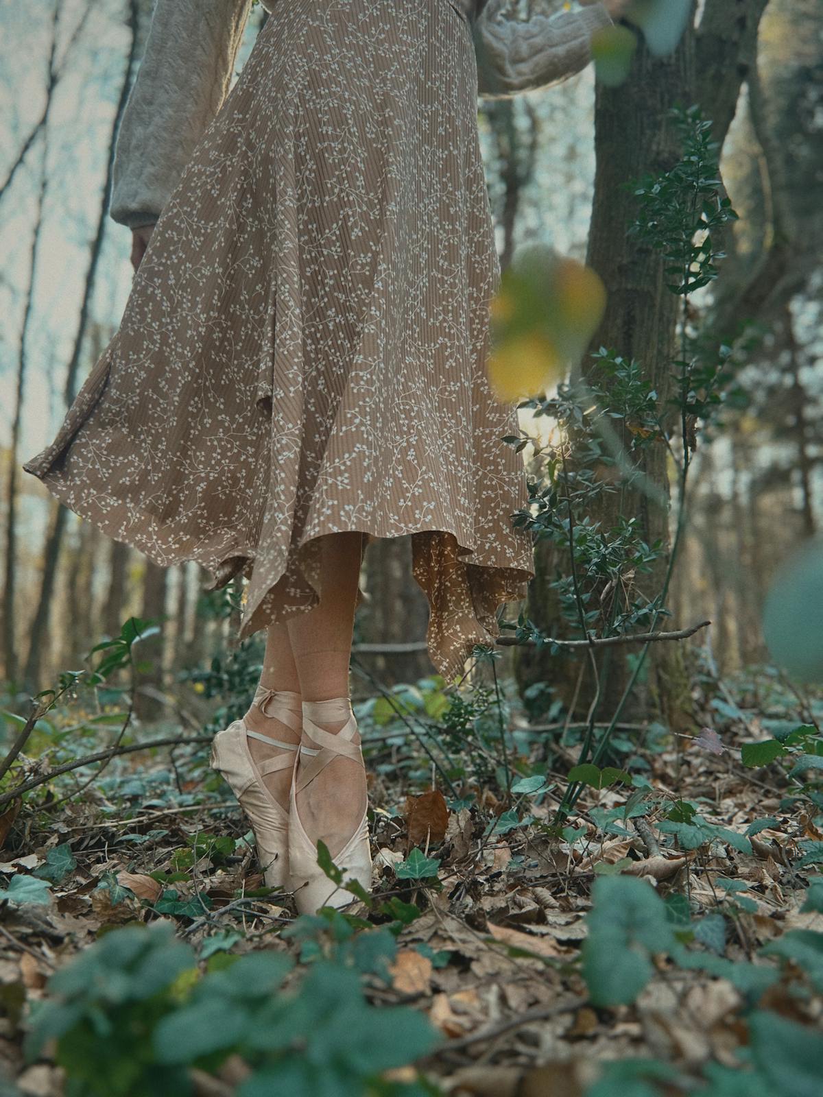 Pointe Shoes Photos, Download The BEST Free Pointe Shoes Stock Photos ...