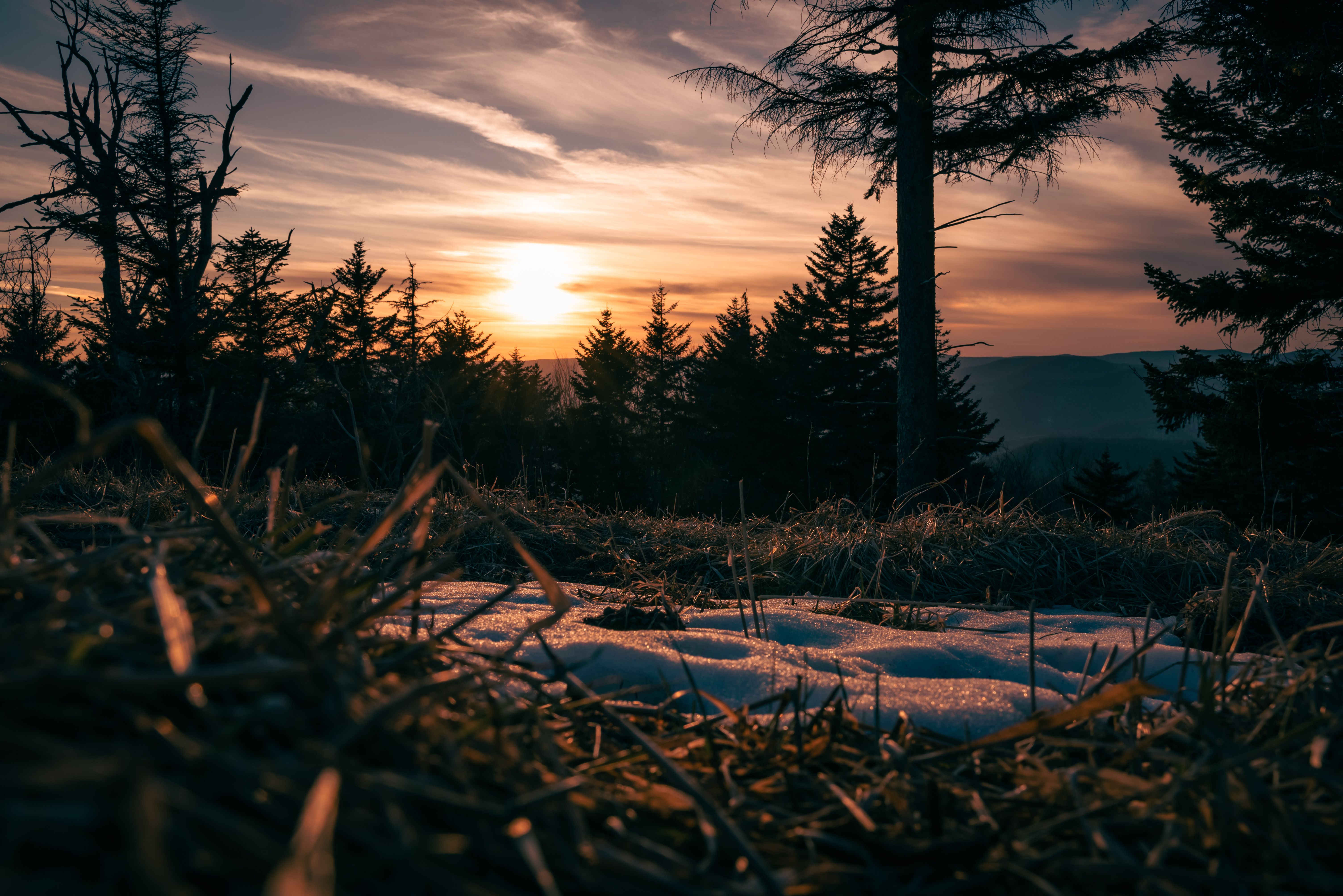 Chris F - Photography