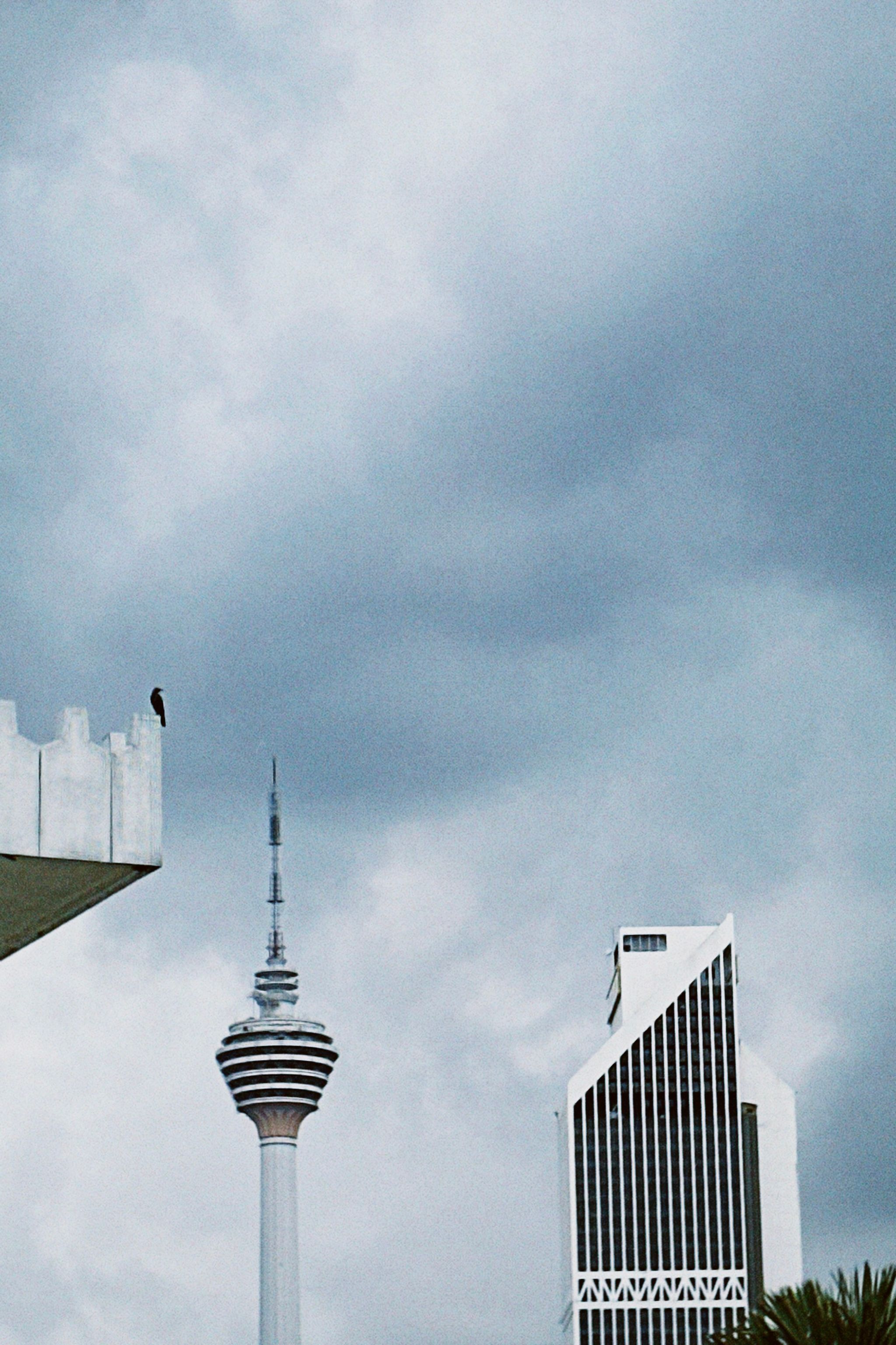 The Kuala Lumpur Tower in Malaysia · Free Stock Photo