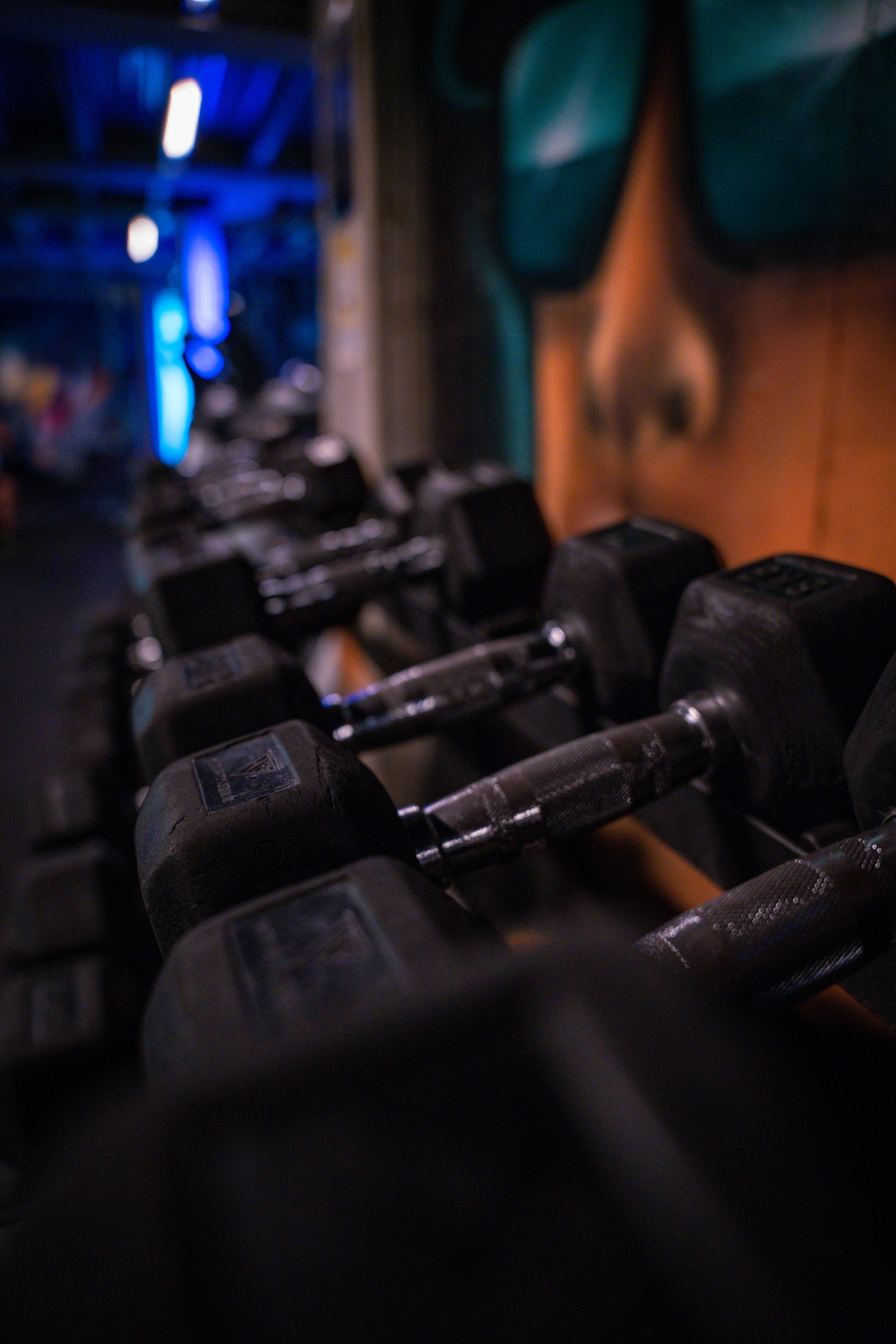 Row of Dumbbells in Gym · Free Stock Photo
