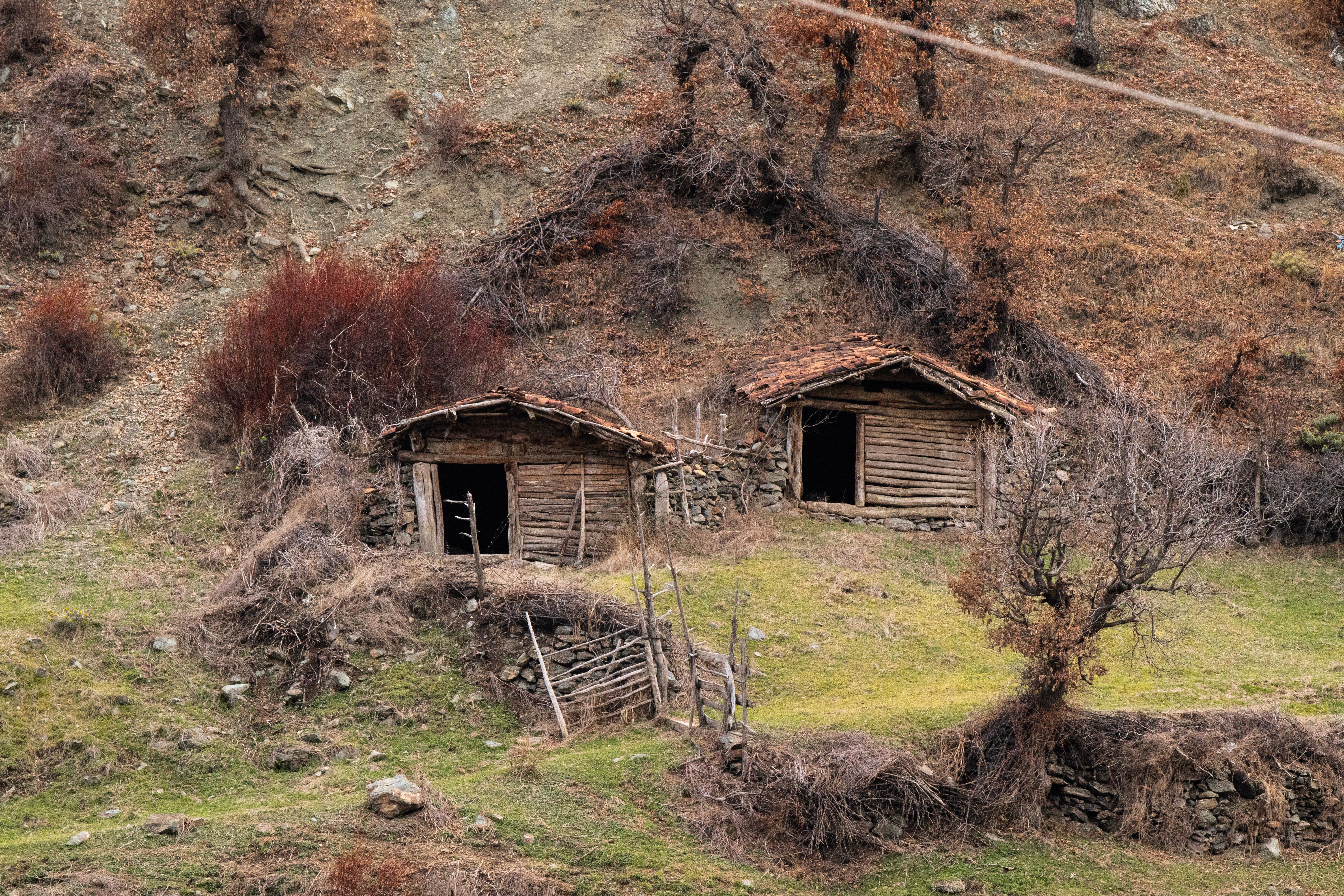 Wooden Huts in Countryside · Free Stock Photo