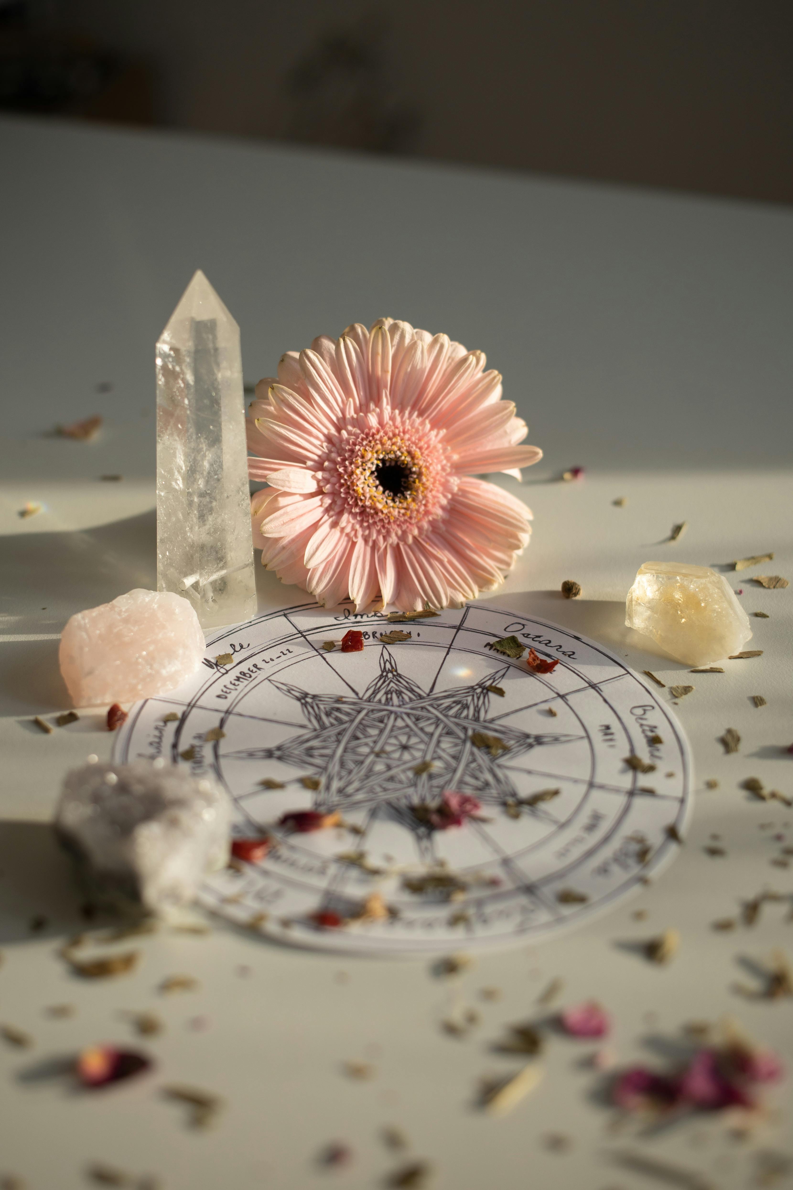 Flower Head by Petals and Crystals on Wheel of Year · Free Stock Photo