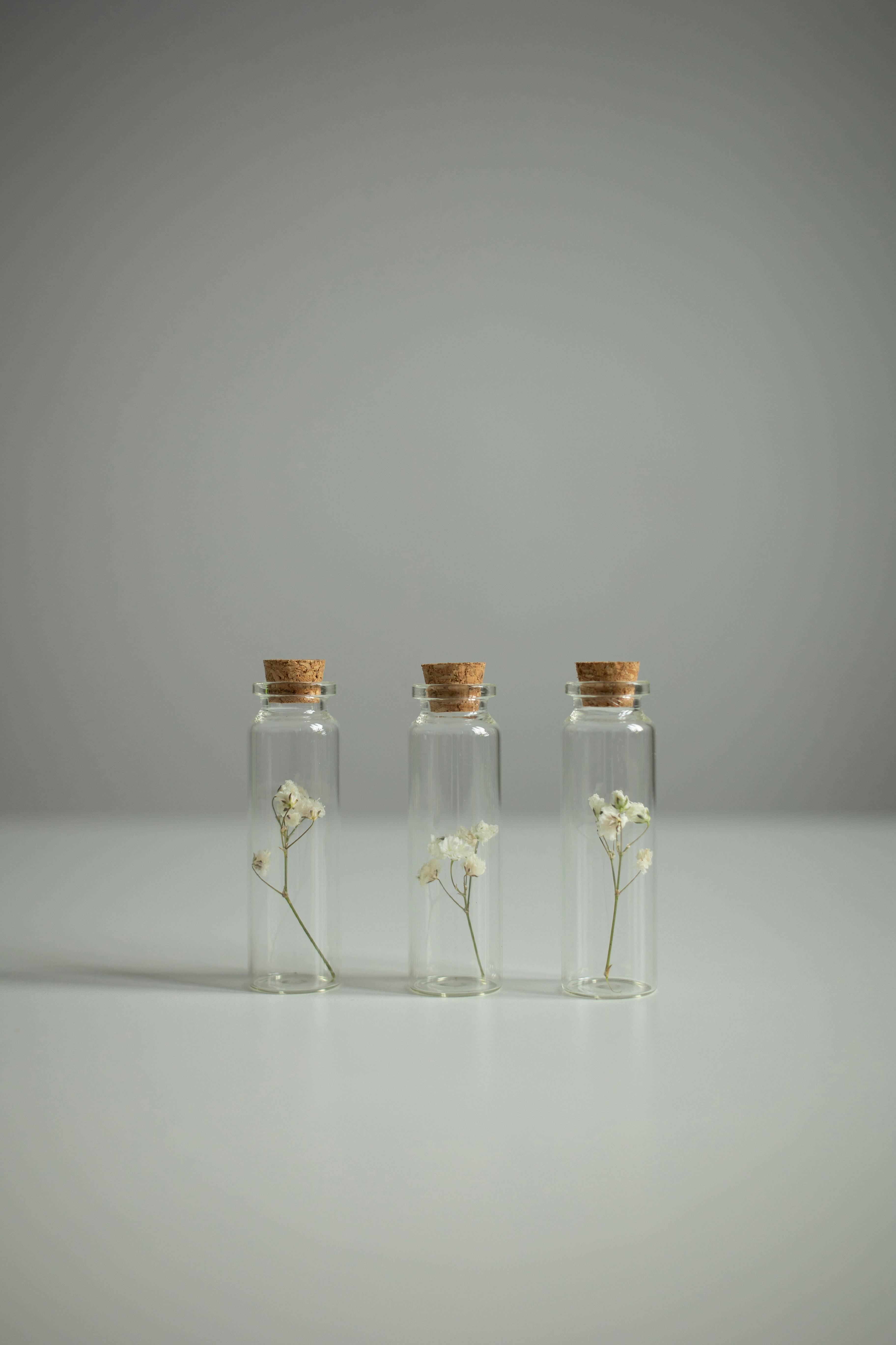 White Flowers in Tiny Glass Bottles · Free Stock Photo