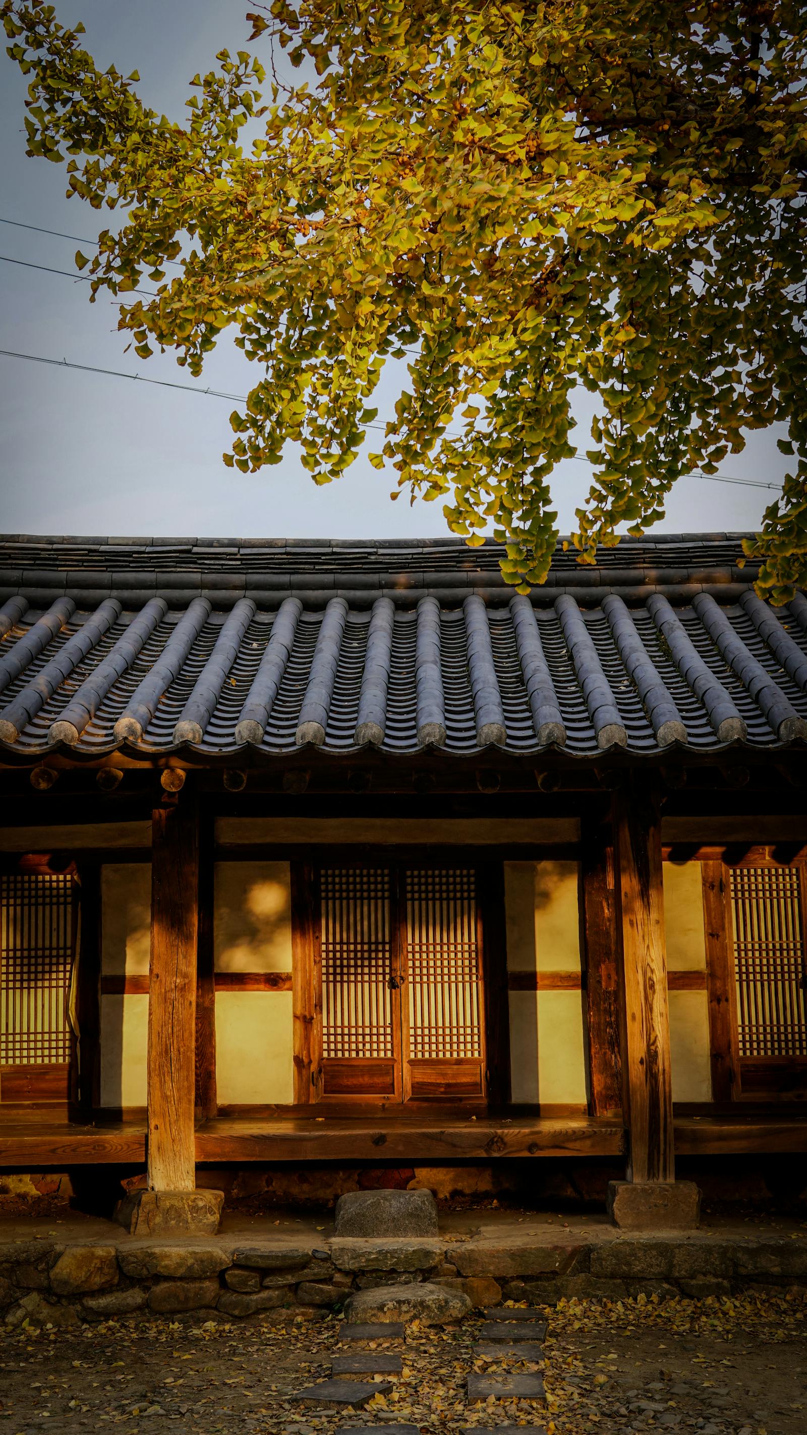 Architecture Building Photos, Download The BEST Free Architecture ...