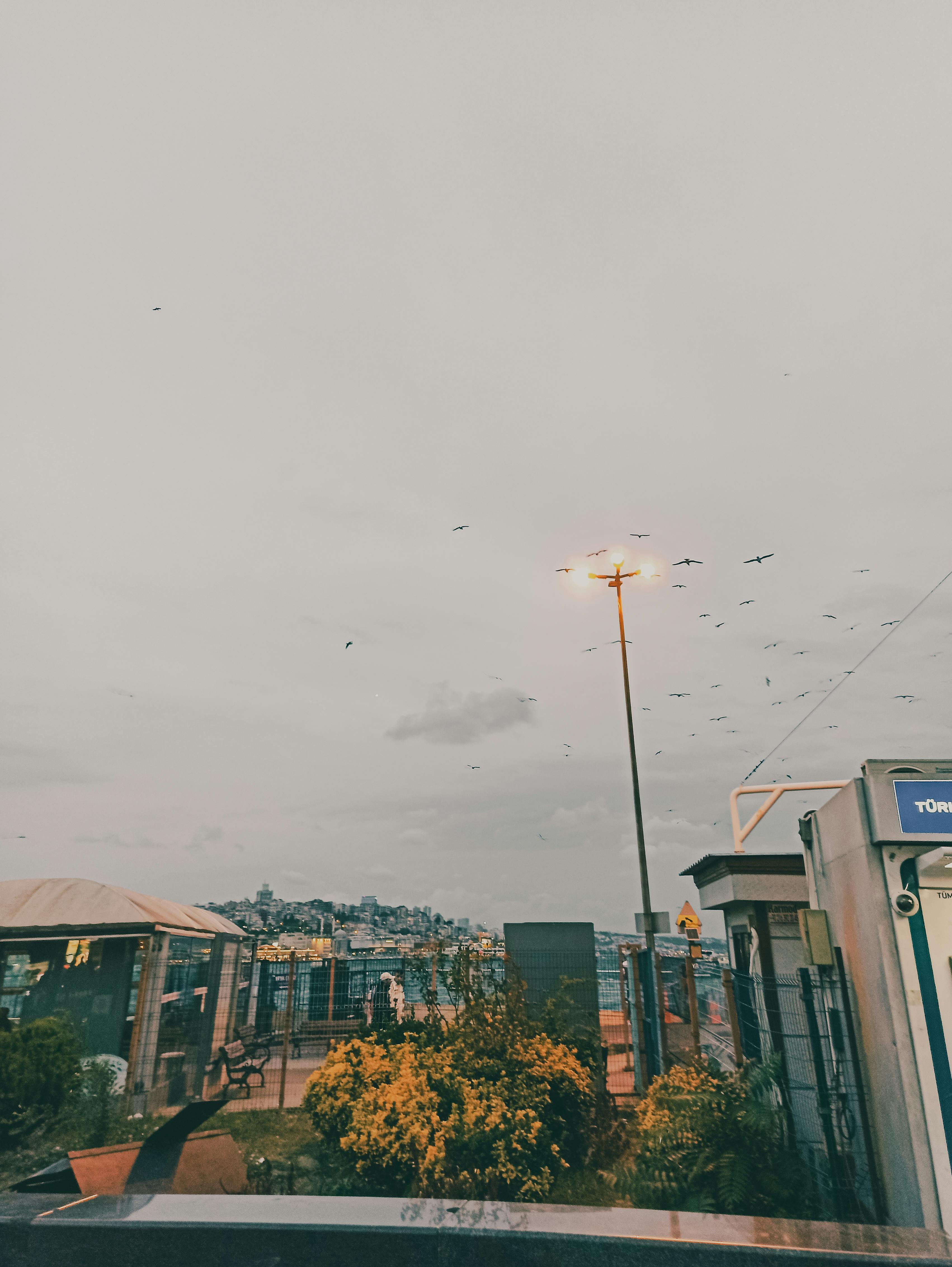 Esra Kaya - Photography