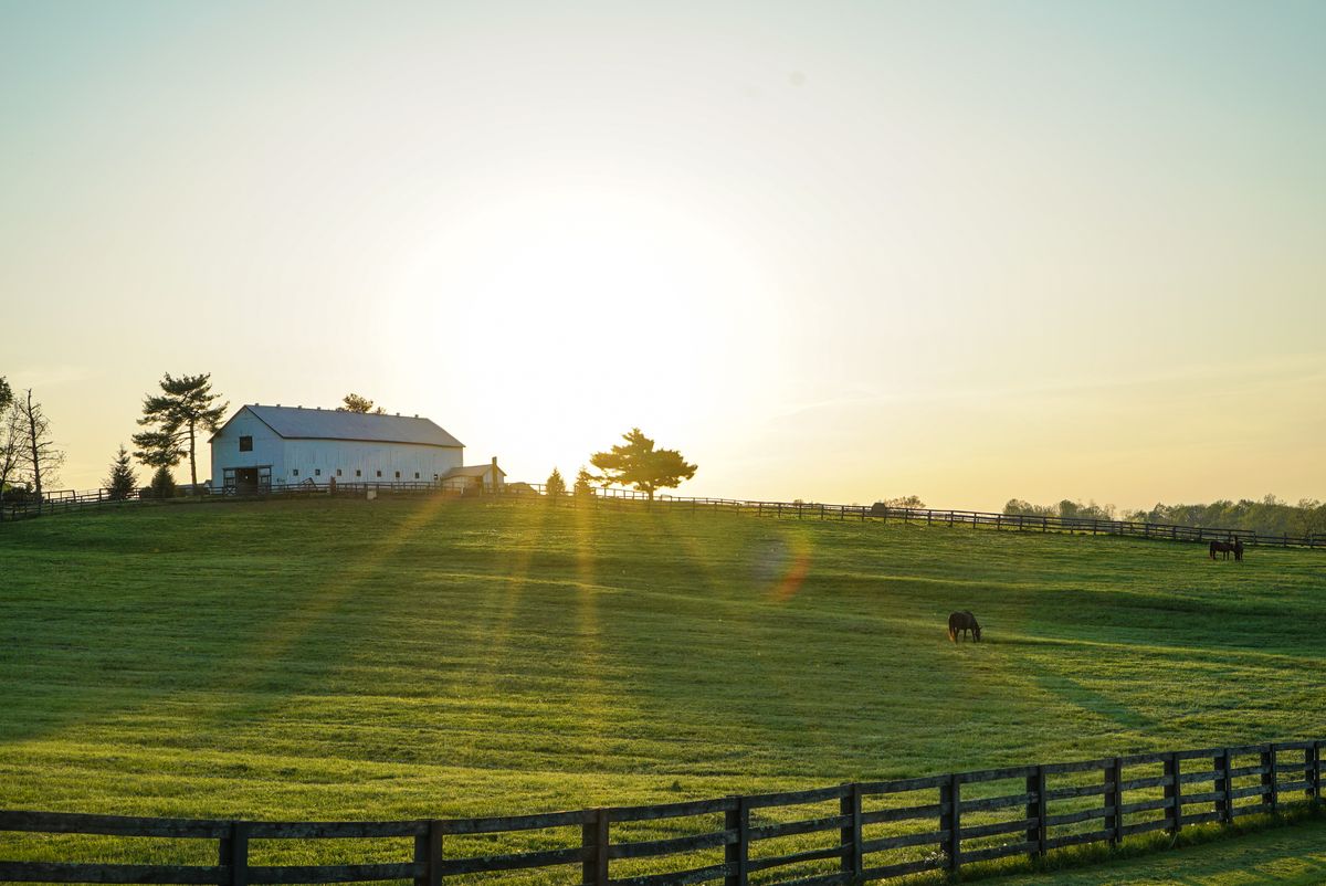 Barn Photos, Download The BEST Free Barn Stock Photos & HD Images