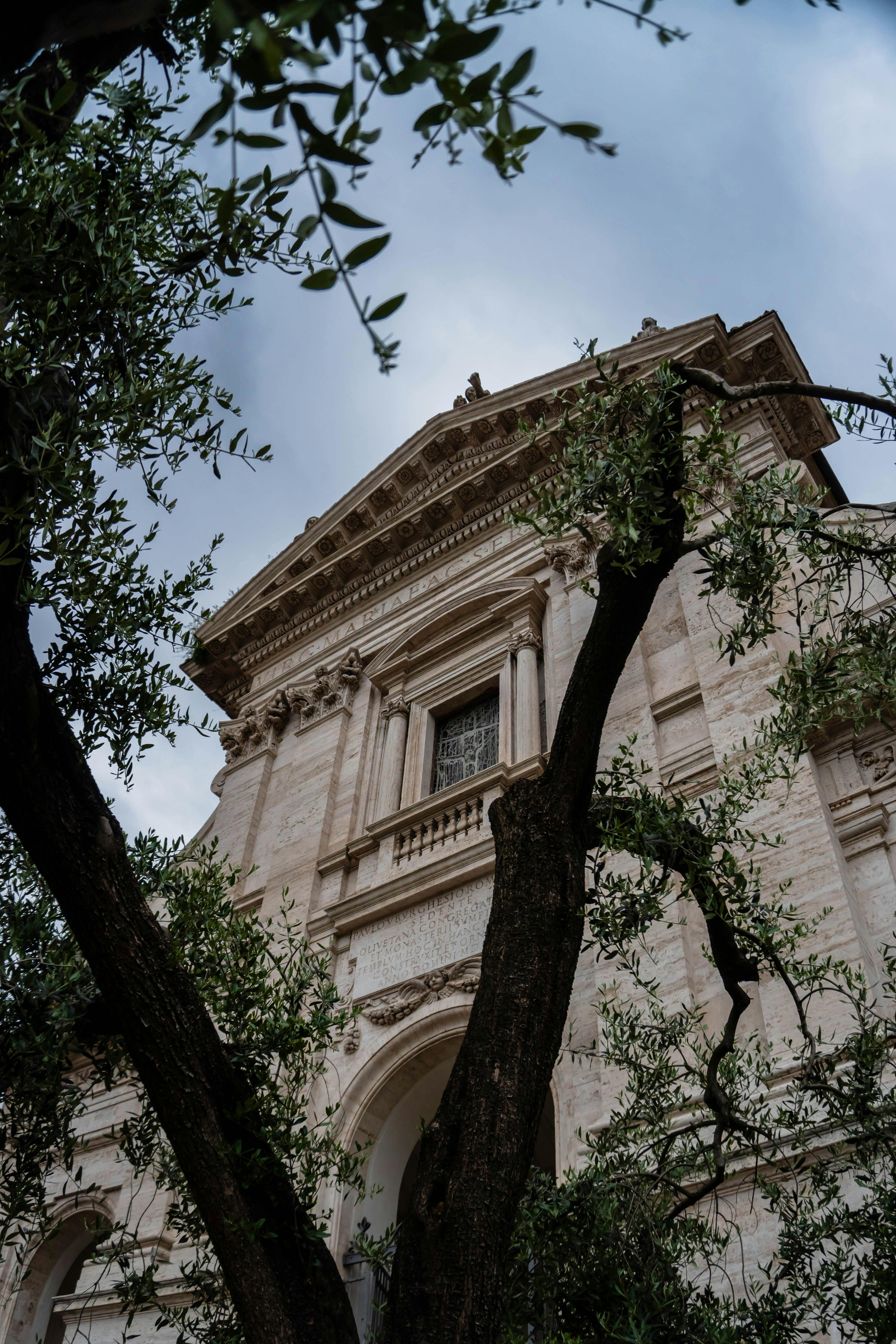 Tree and Santa Francesca Romana Basilica in Rome · Free Stock Photo