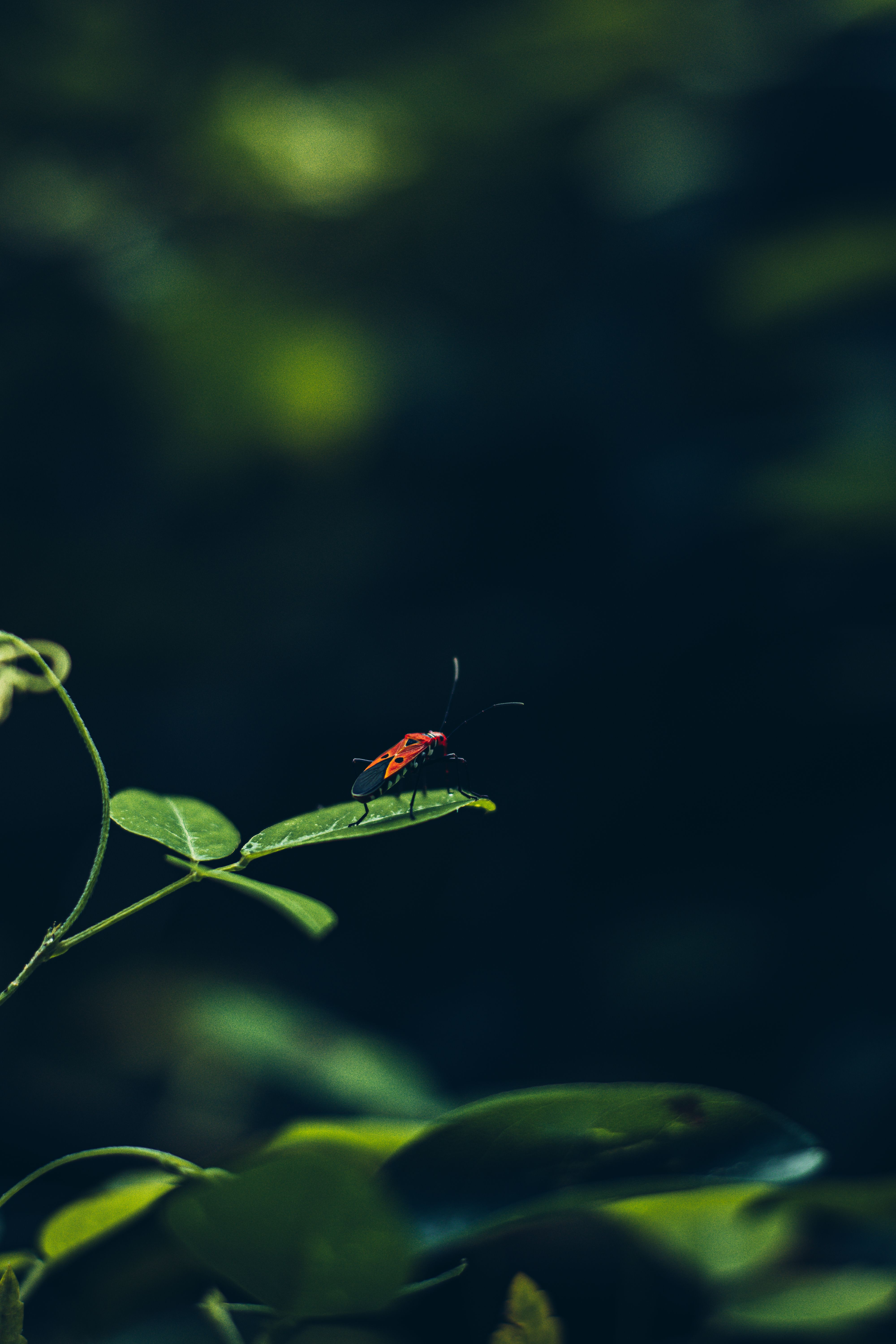 Fish Aquarium Wallpaper Photos, Download The BEST Free Fish Aquarium ...