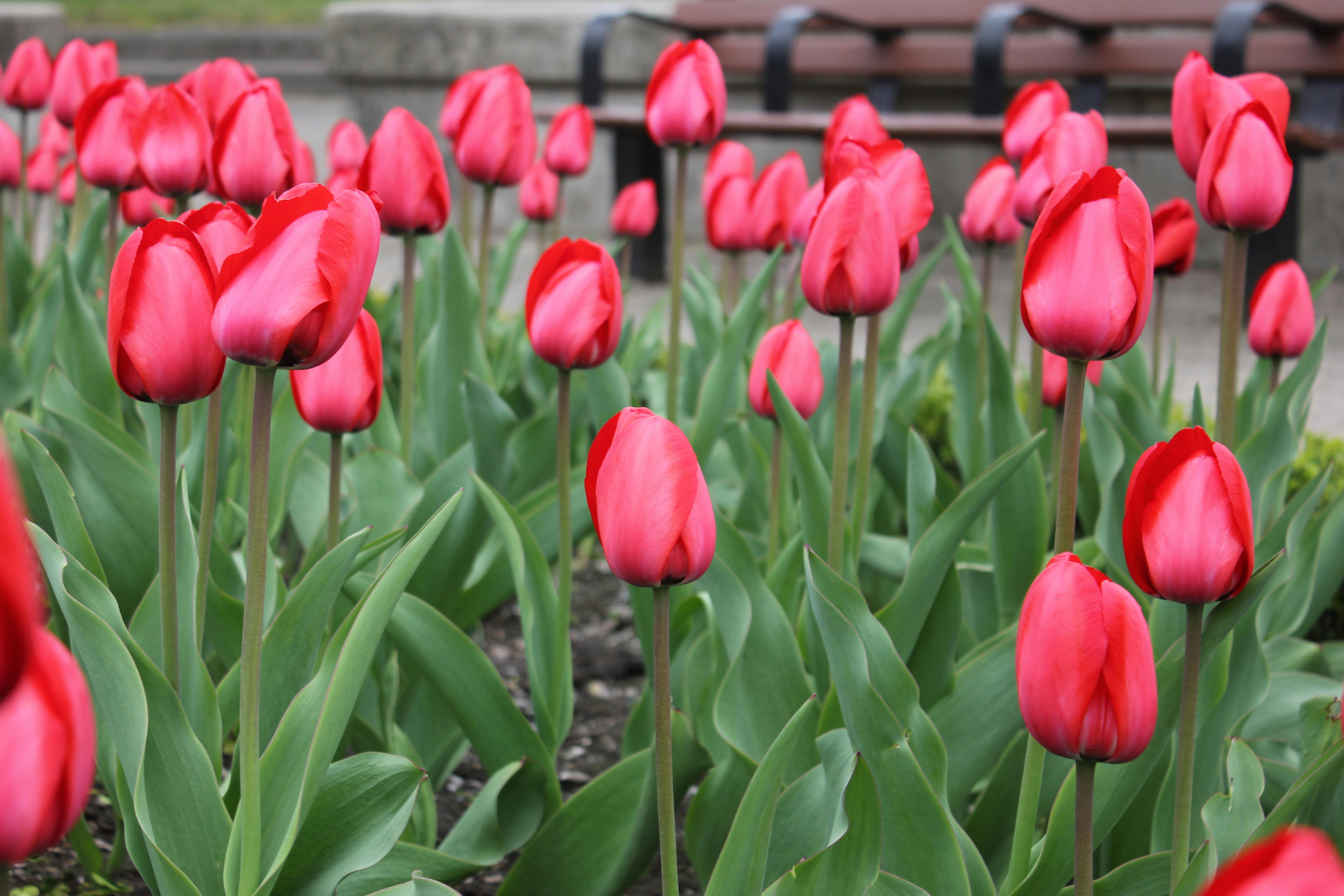 alex ohan - Photography