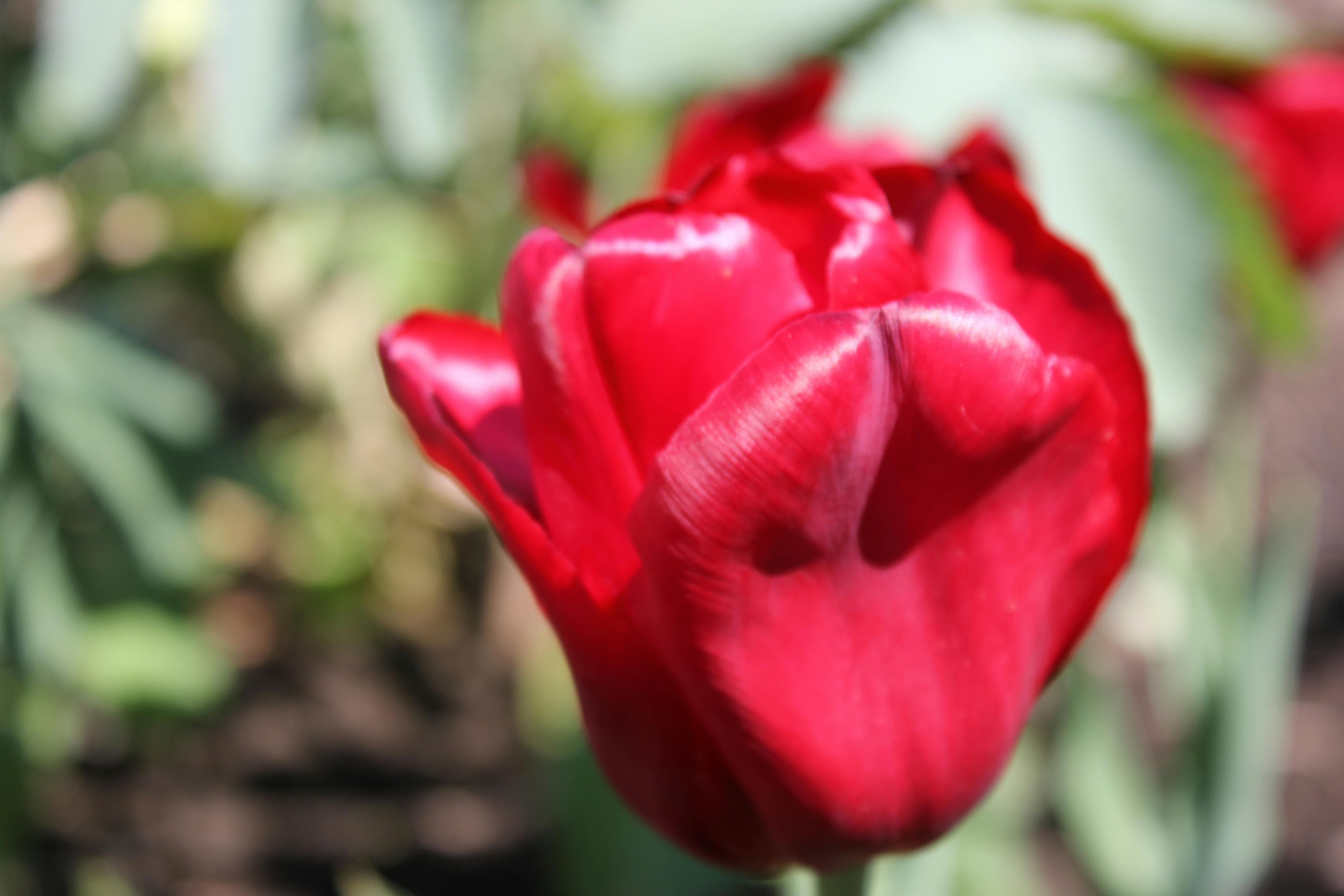 alex ohan - Photography