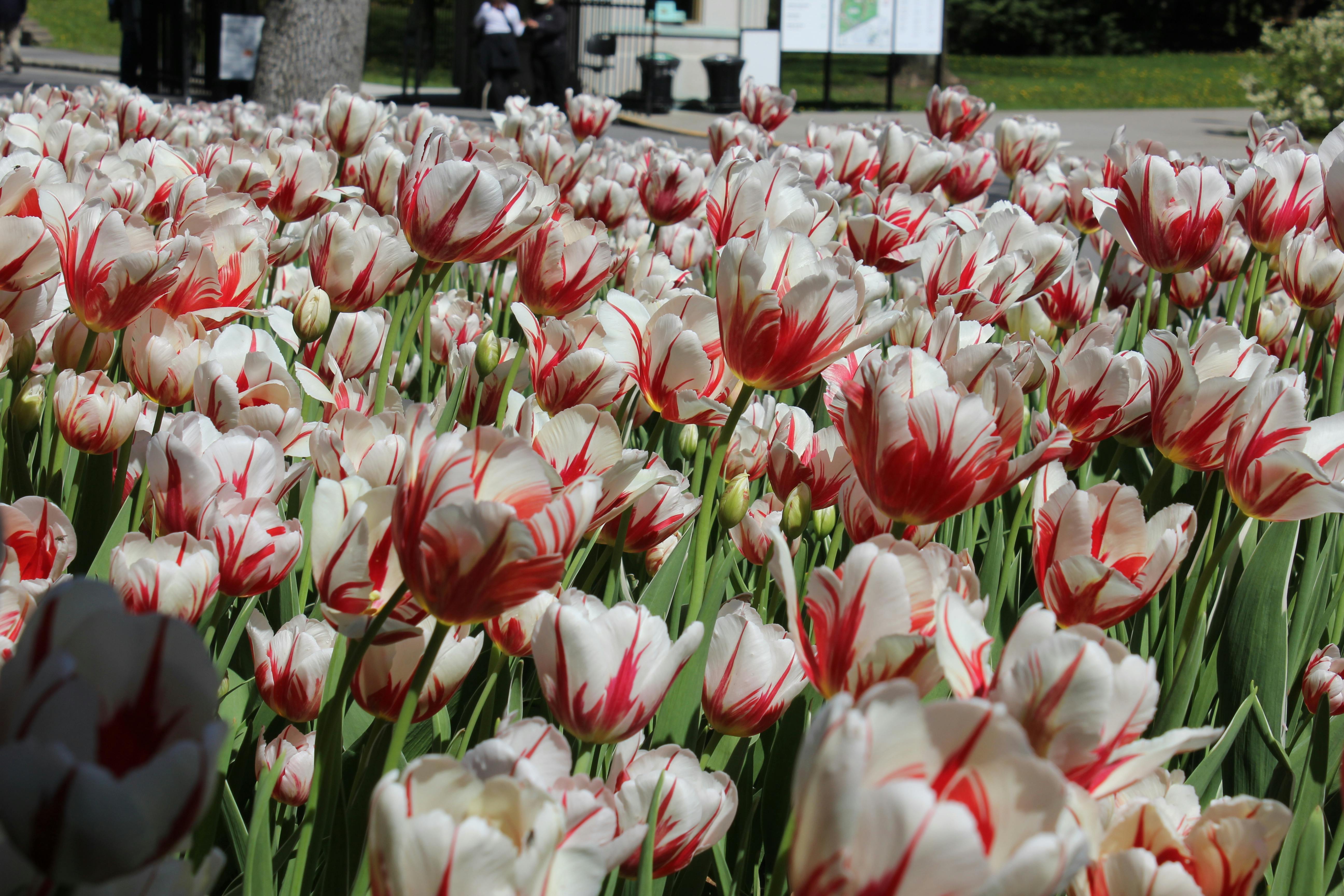 alex ohan - Photography