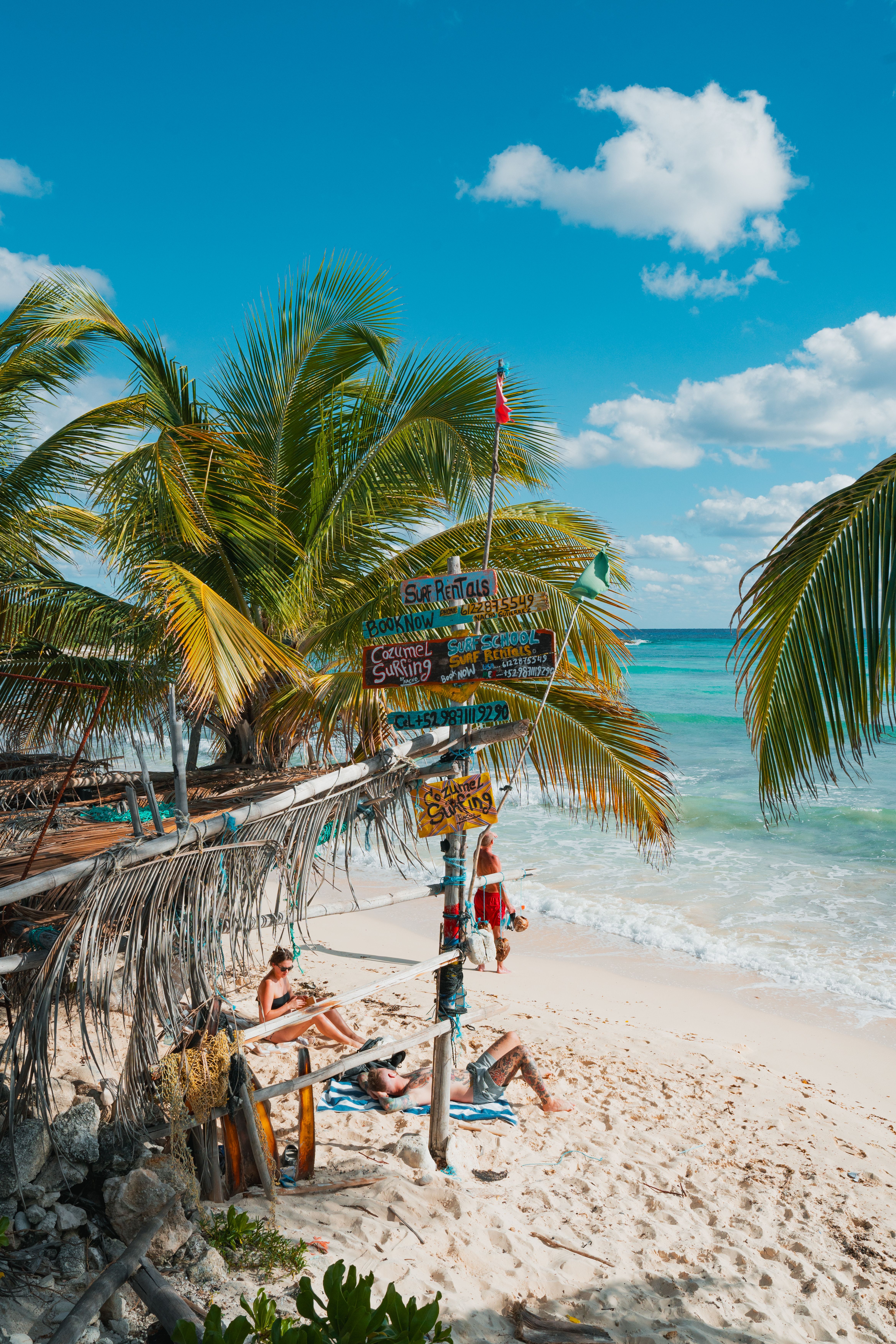 A Beach in Summer · Free Stock Photo
