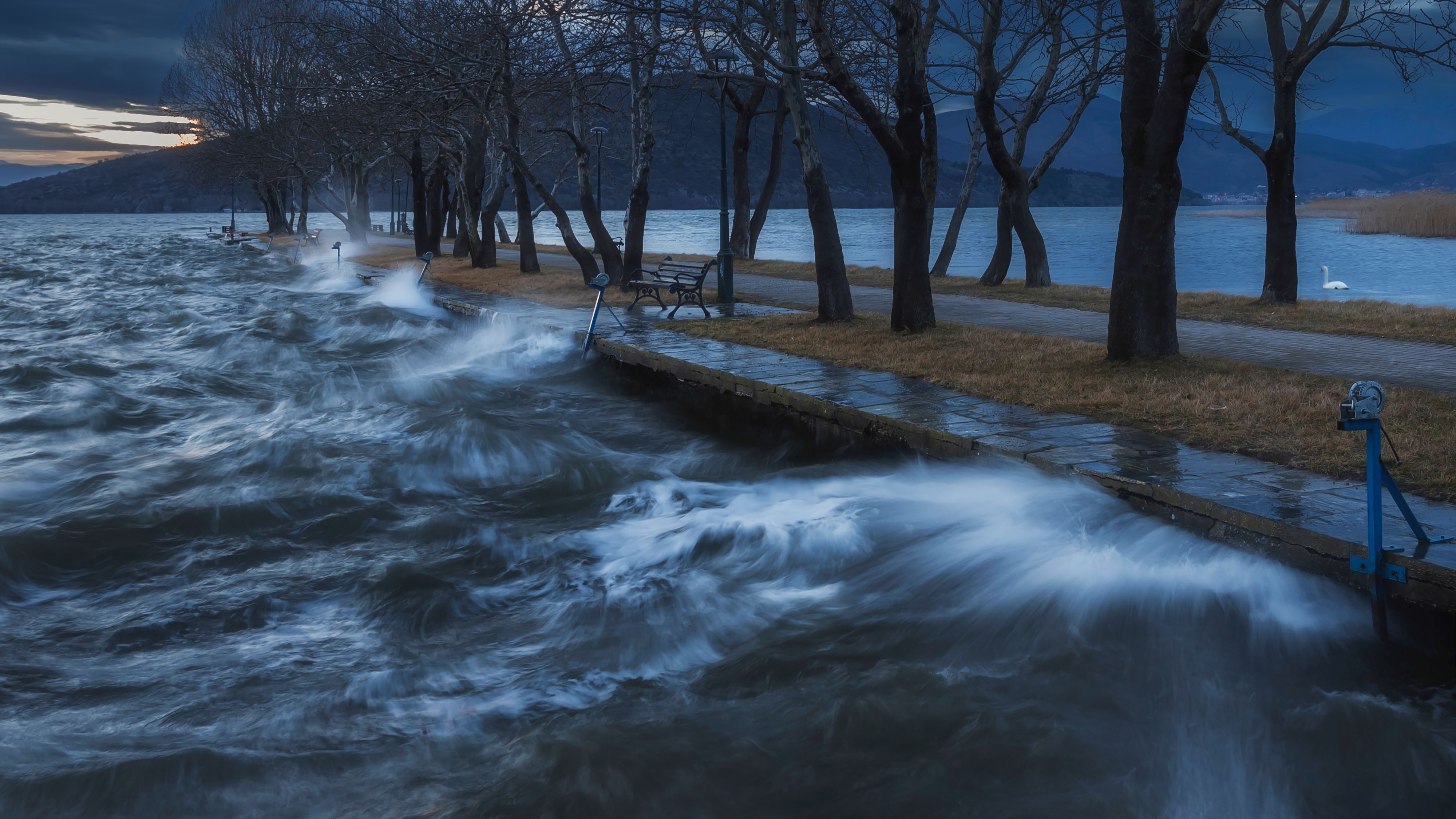 Wave on Promenade with Trees on Sea Shore · Free Stock Photo