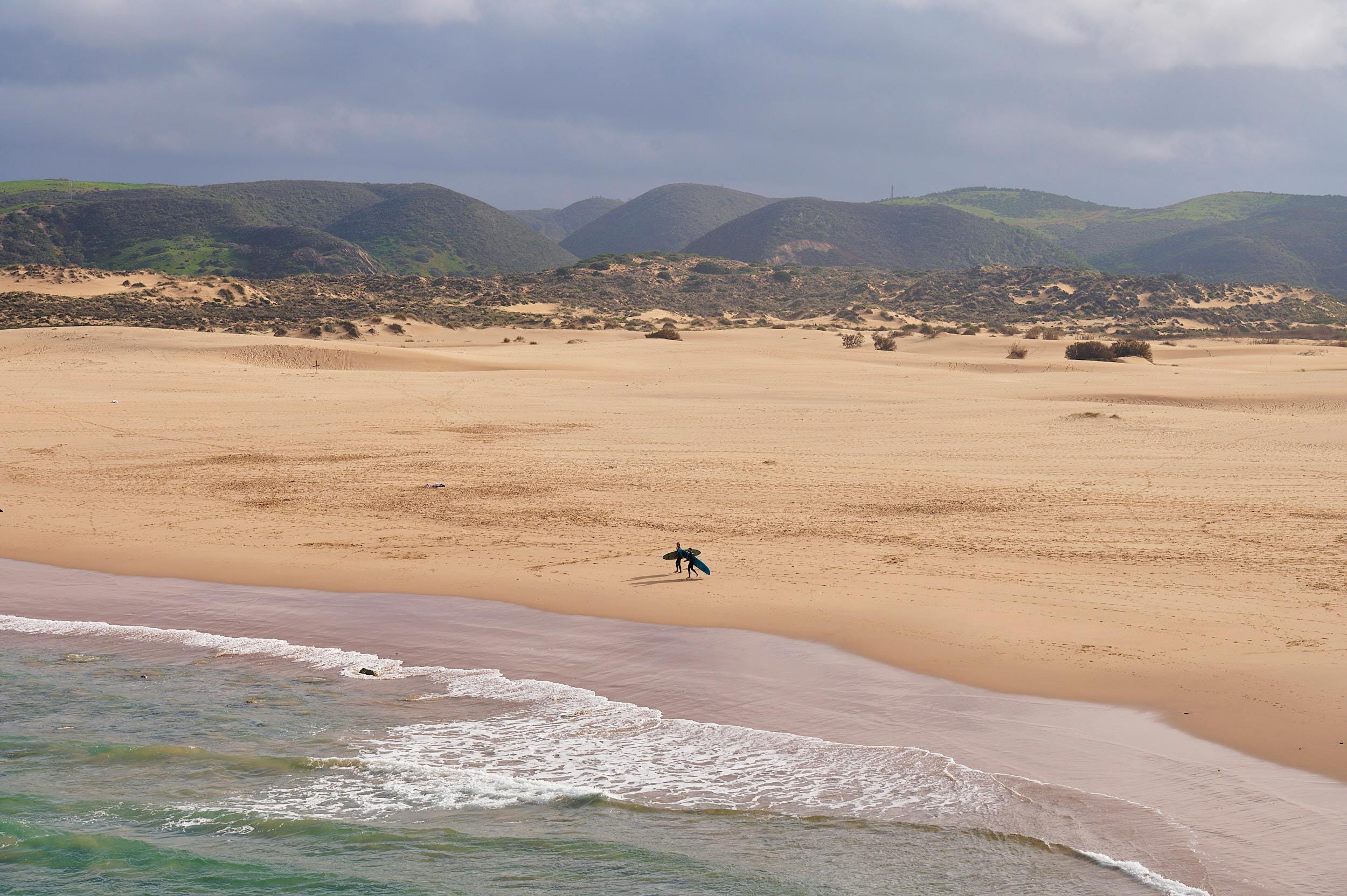 Surfers on Sea Shore in Summer · Free Stock Photo