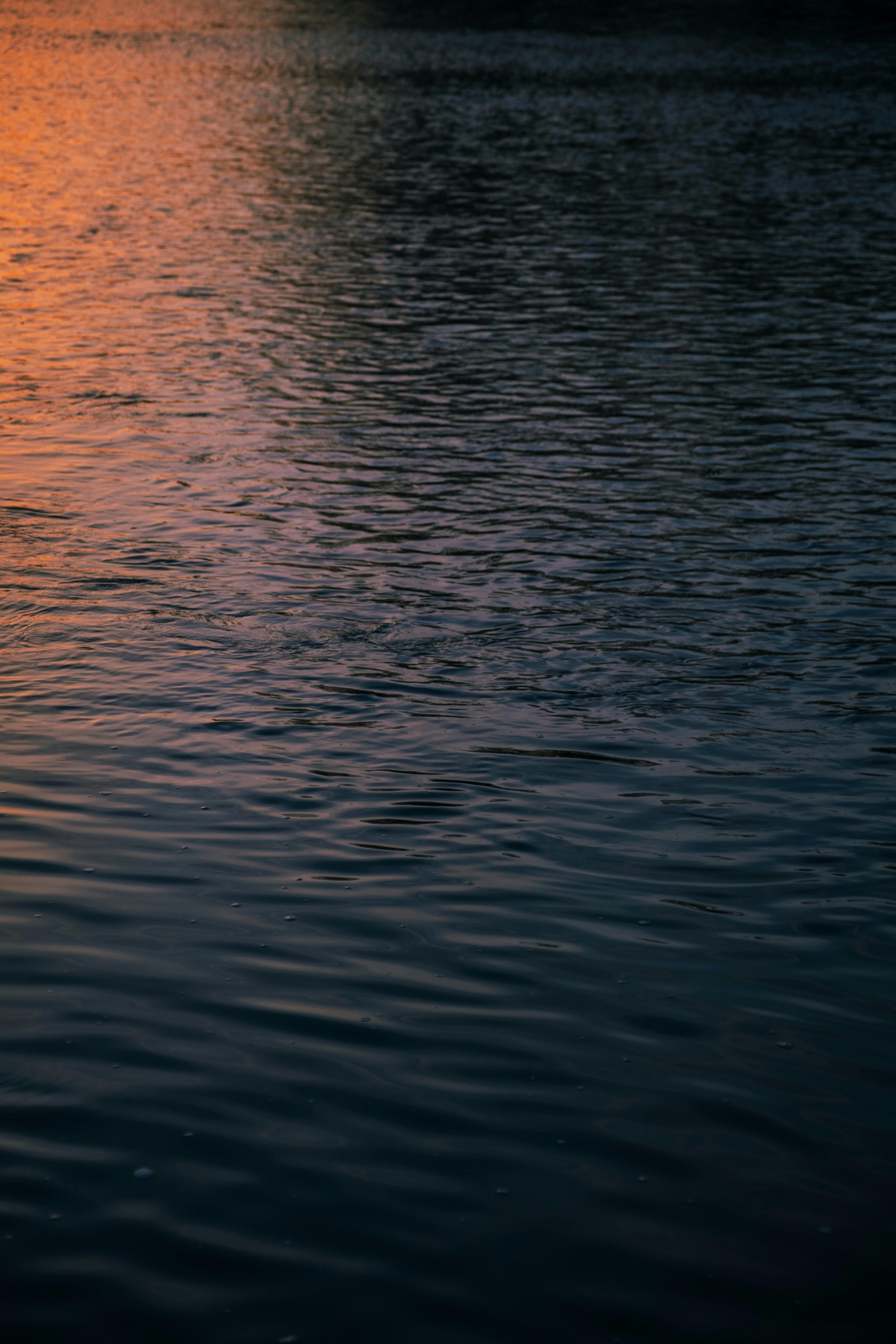 Surface Tid Photos, Download The BEST Free Surface Tid Stock Photos ...