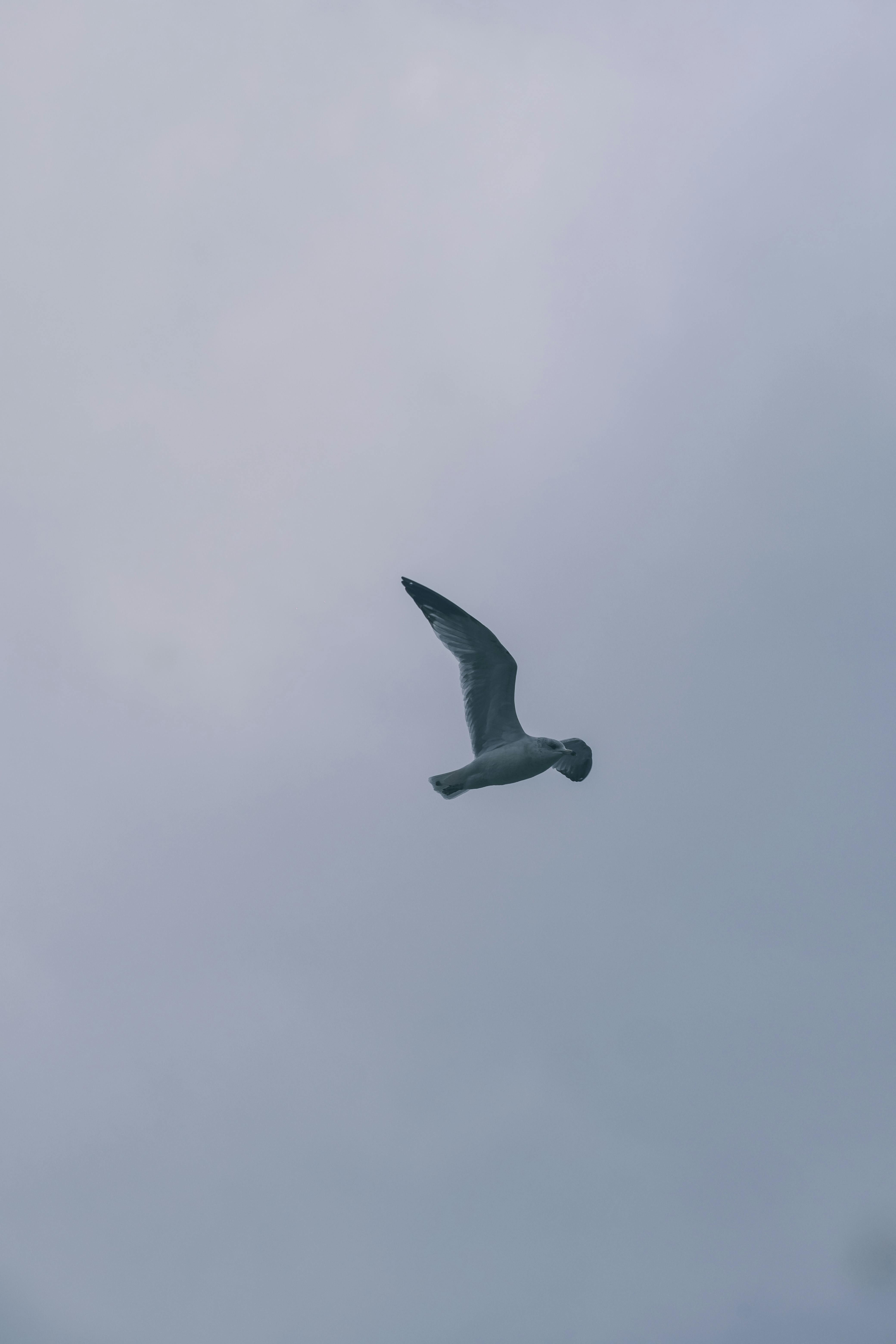 Stuffedbox NG - Photography