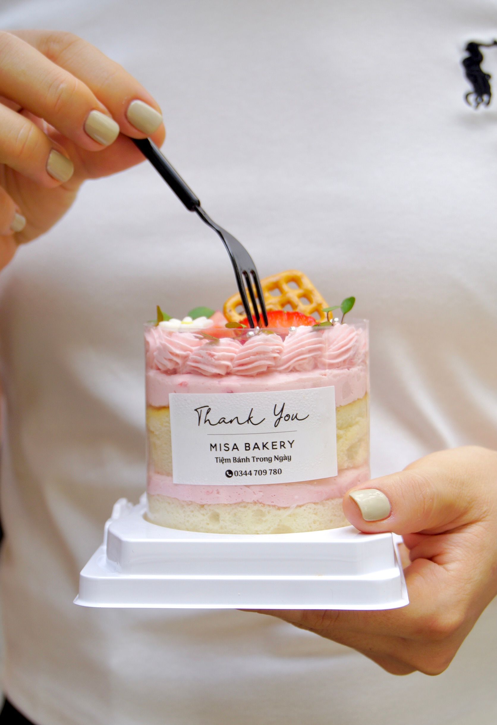 Woman Hands Holding Sweet Cake · Free Stock Photo