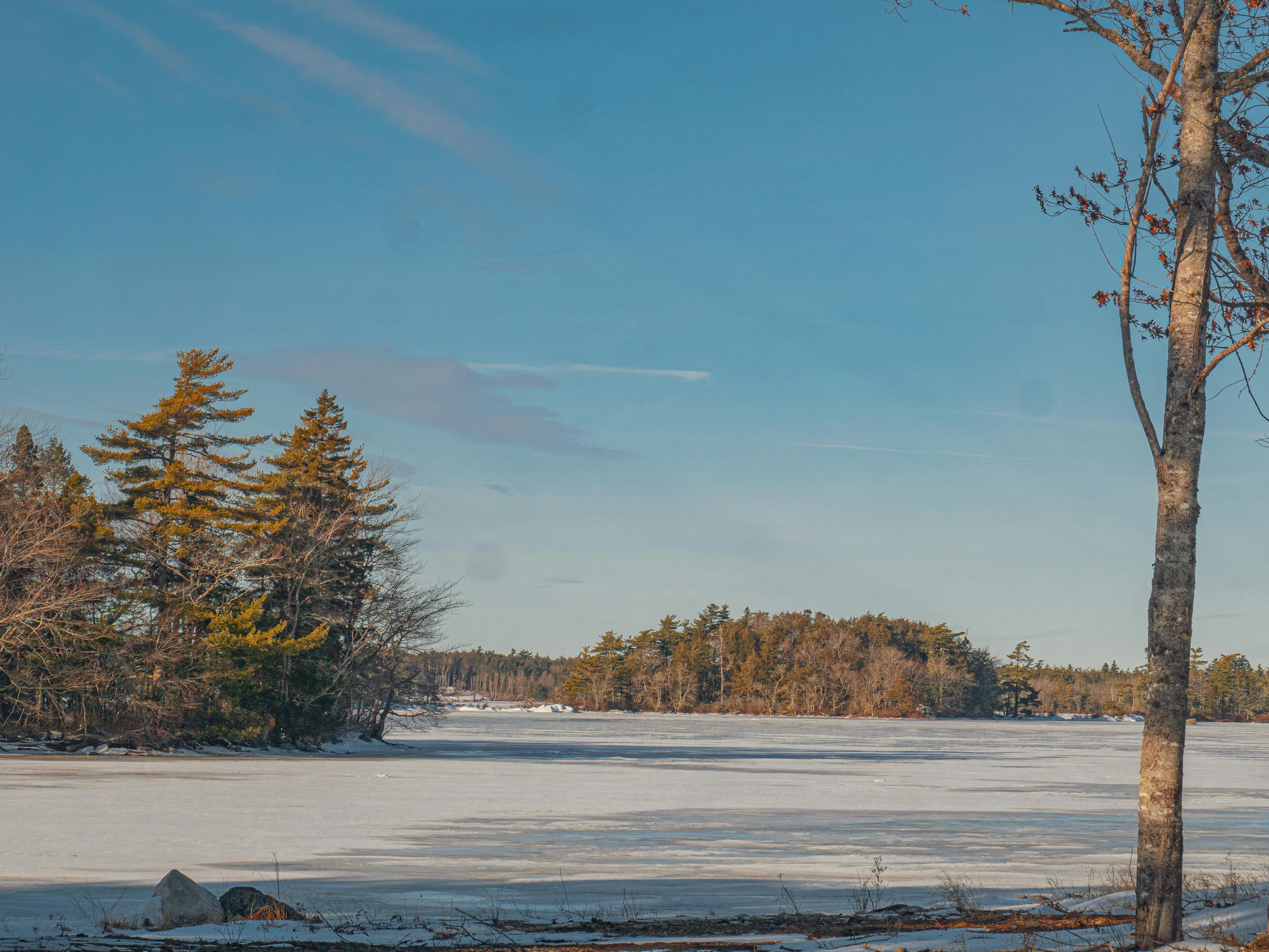 Frozen Lake · Free Stock Photo