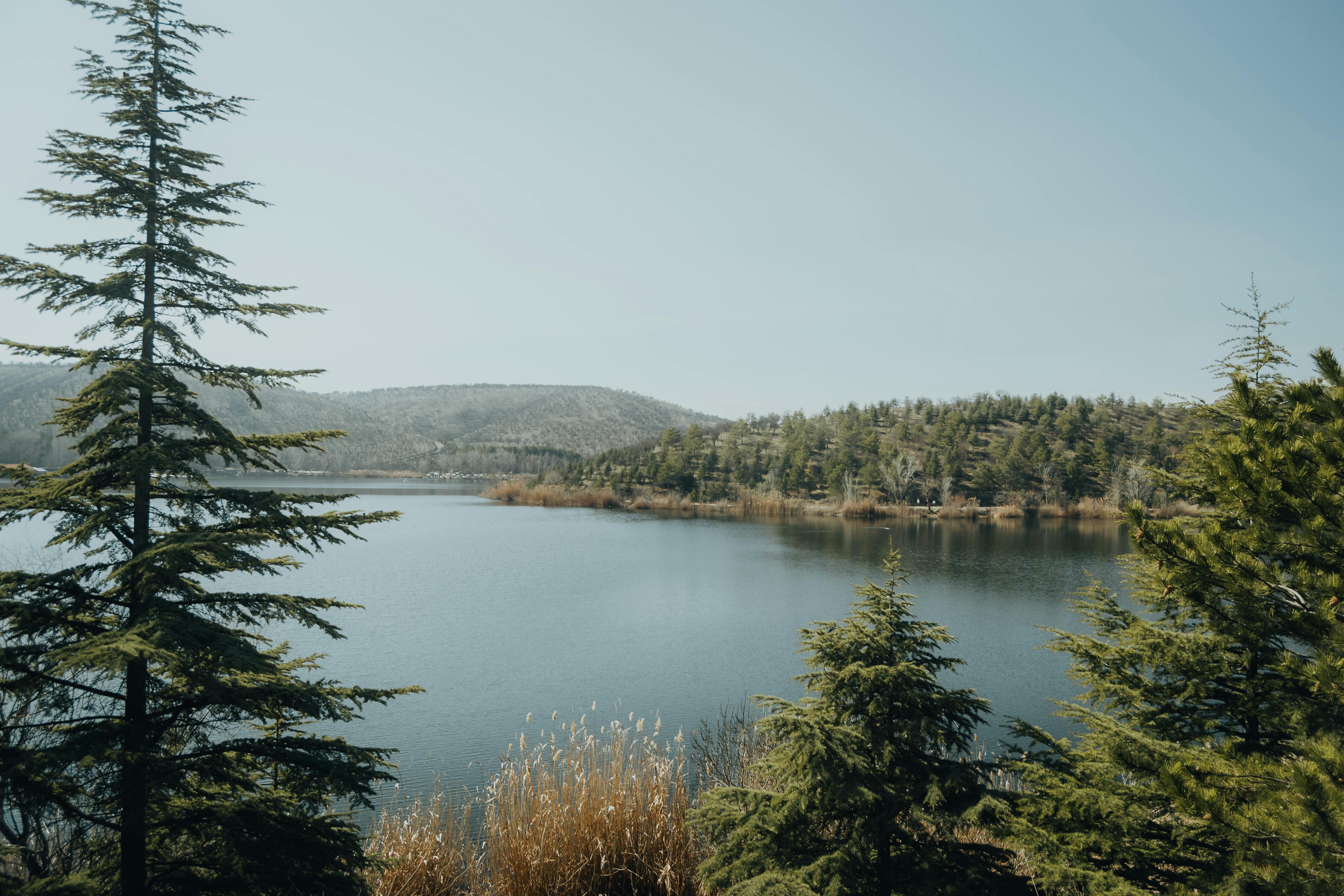 Lake Among Hills Covered with Forest · Free Stock Photo
