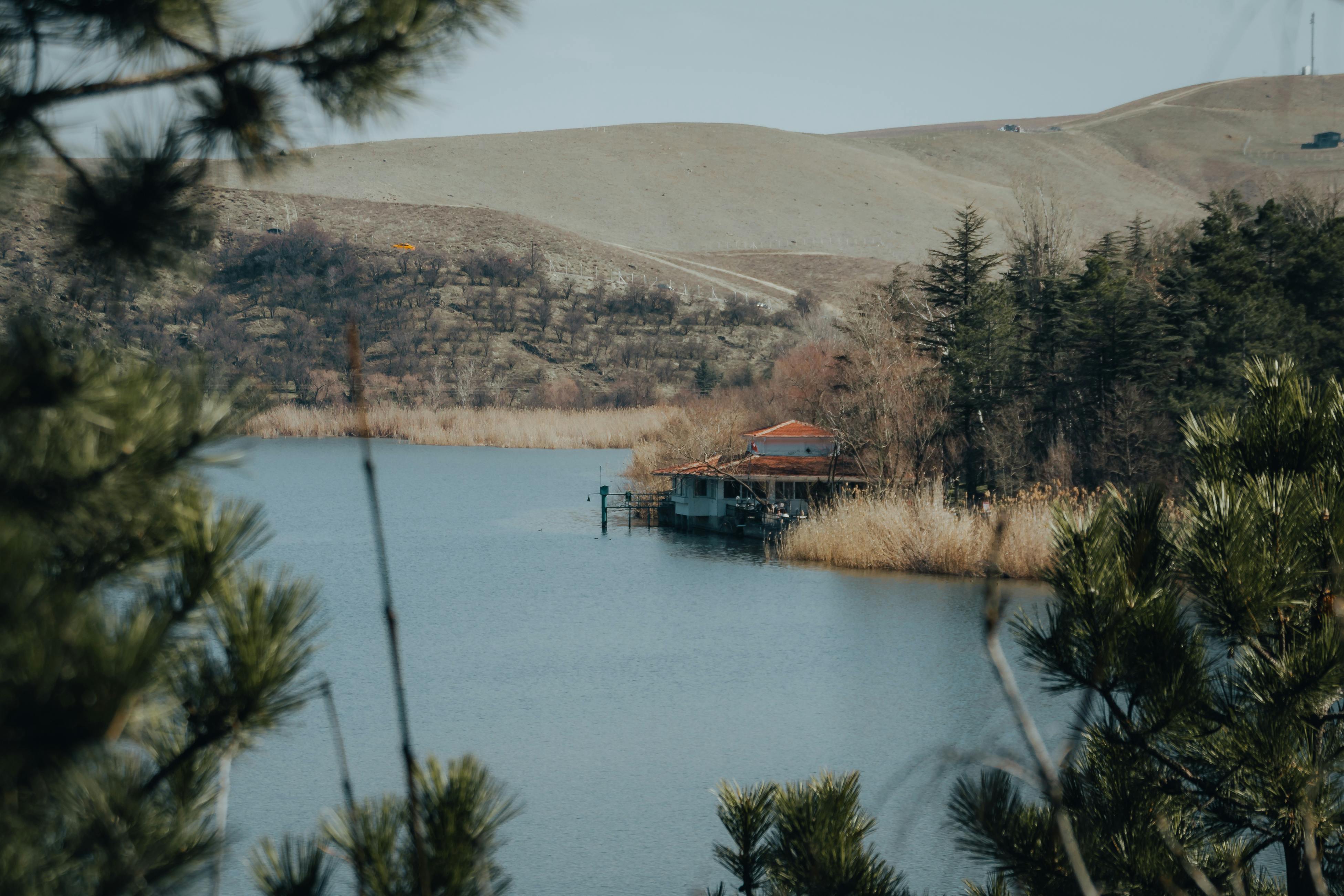 River between Hills · Free Stock Photo