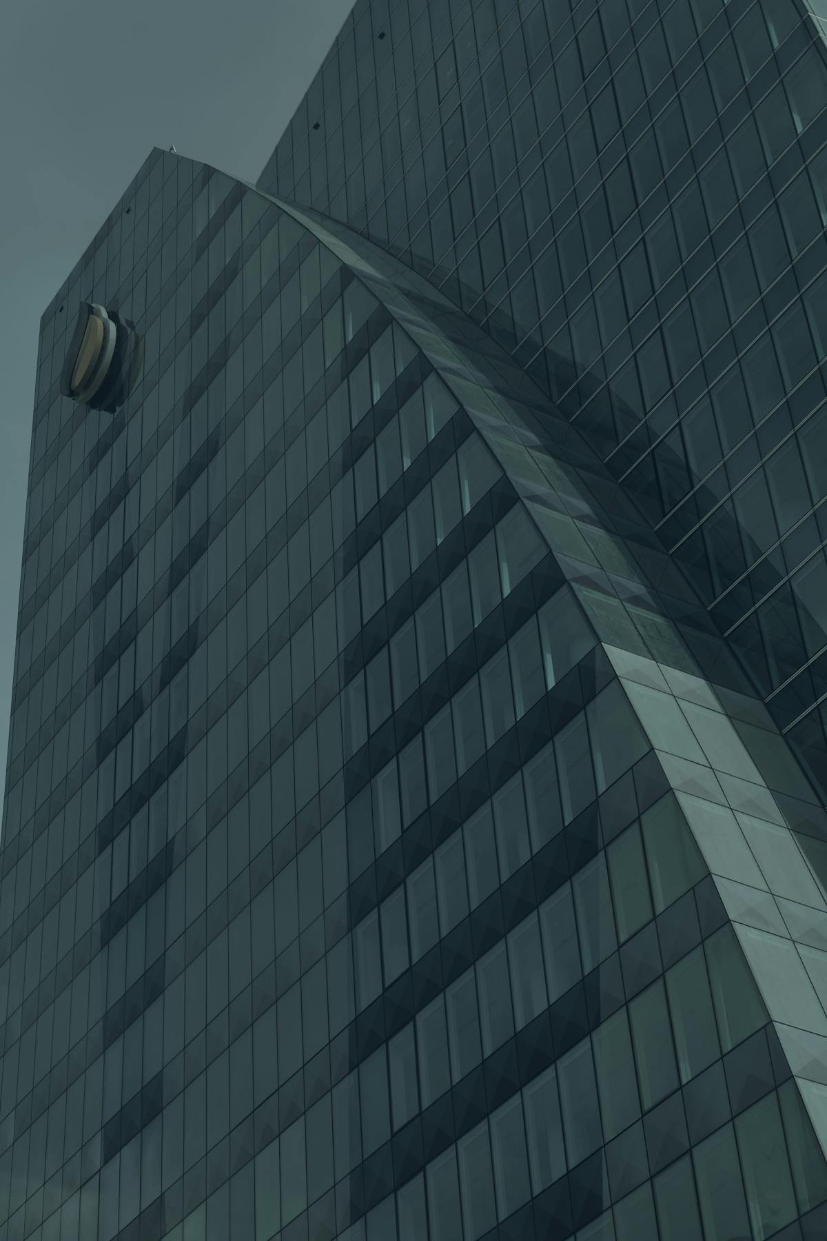 Office Shark Photos, Download The BEST Free Office Shark Stock Photos ...