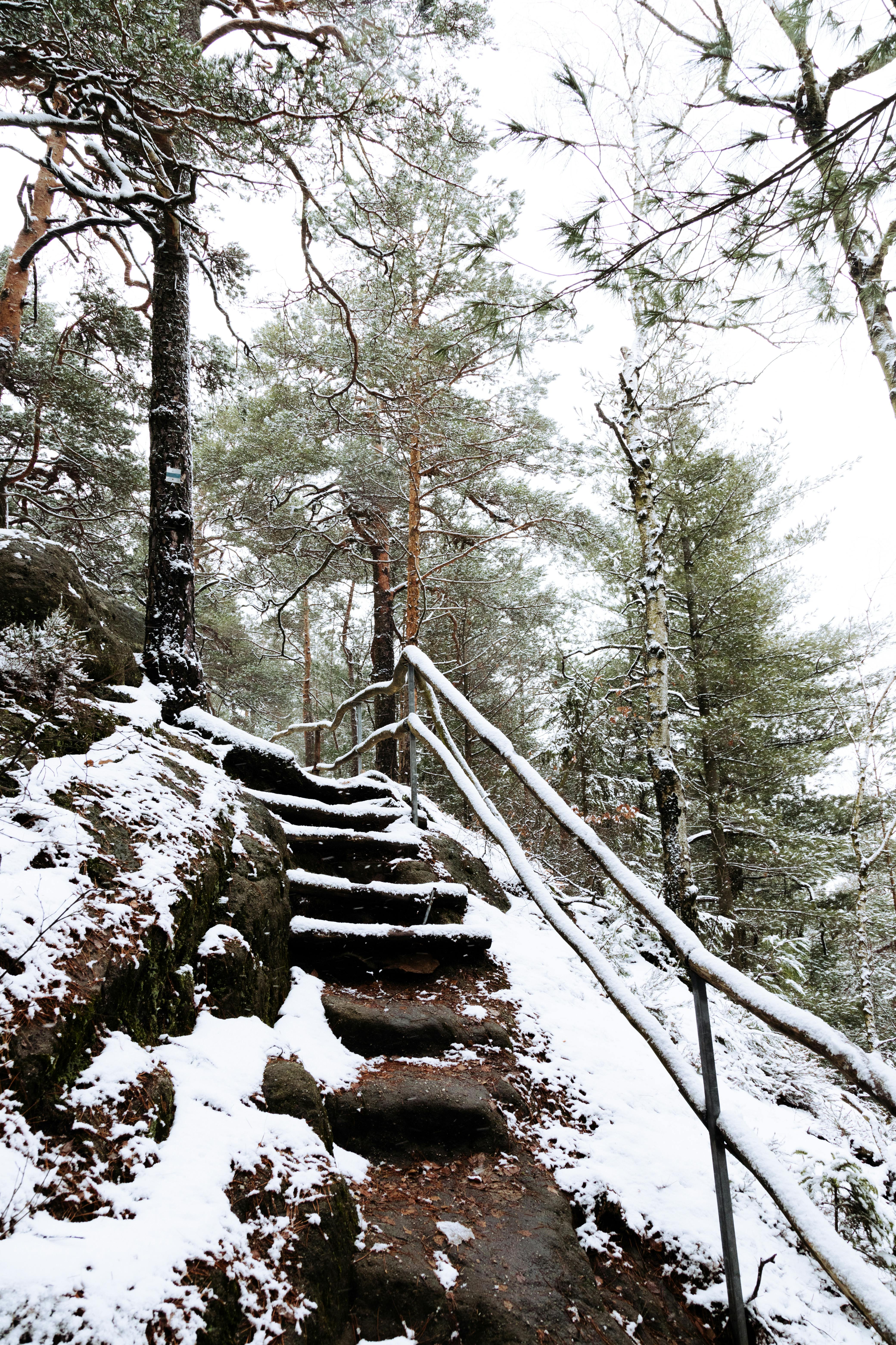 Stairs in a Forest Covered with Snow · Free Stock Photo