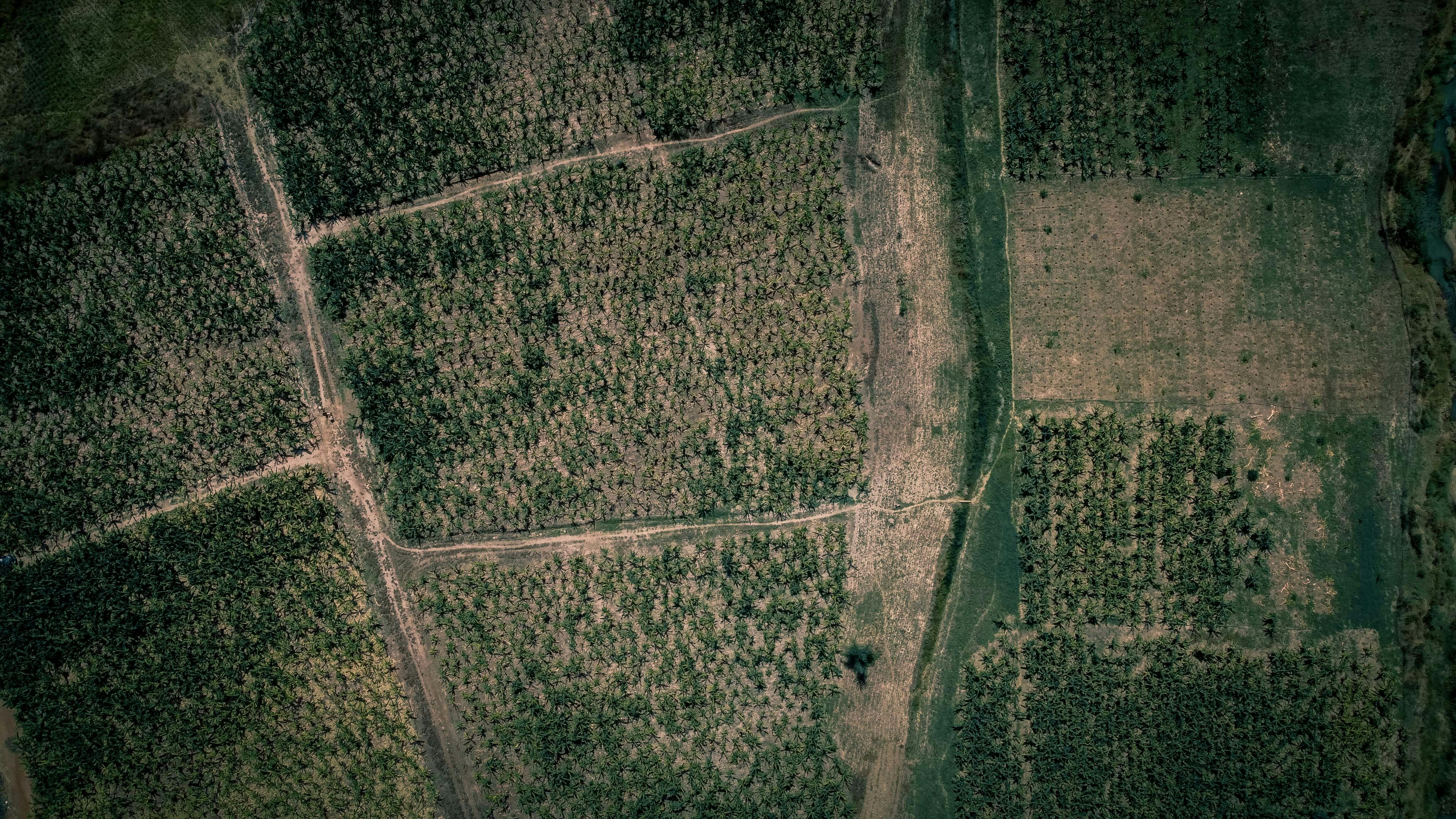 Nigeria Landscape Photos, Download The BEST Free Nigeria Landscape ...