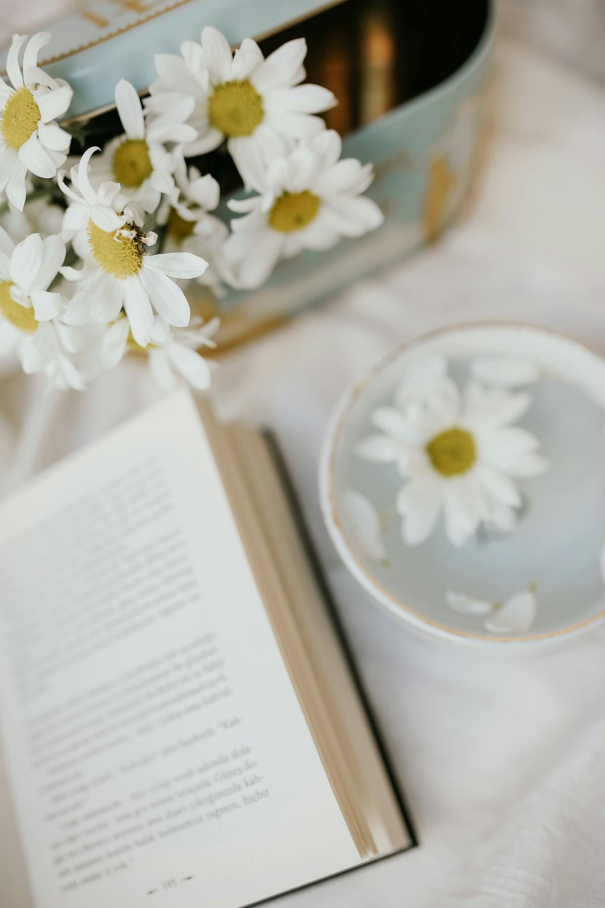 Book Aesthetic Photos, Download The BEST Free Book Aesthetic Stock ...