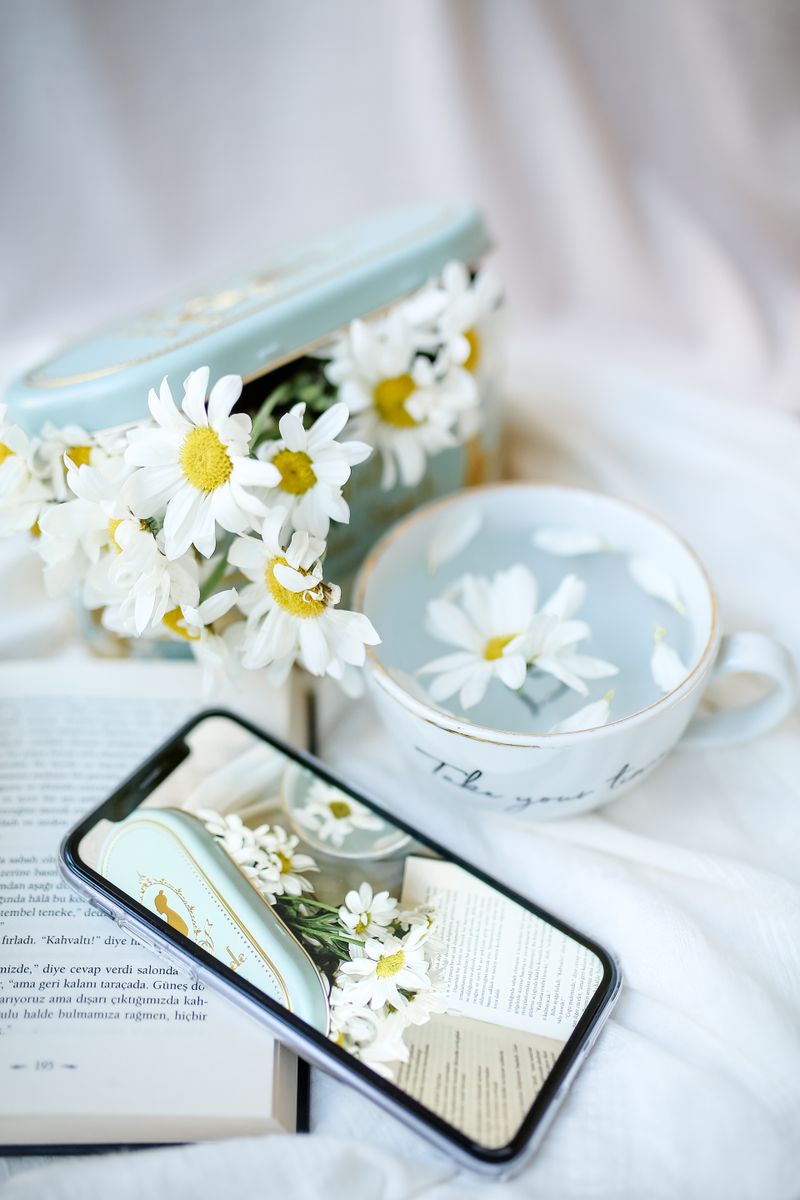 Book Aesthetic Photos, Download The BEST Free Book Aesthetic Stock ...