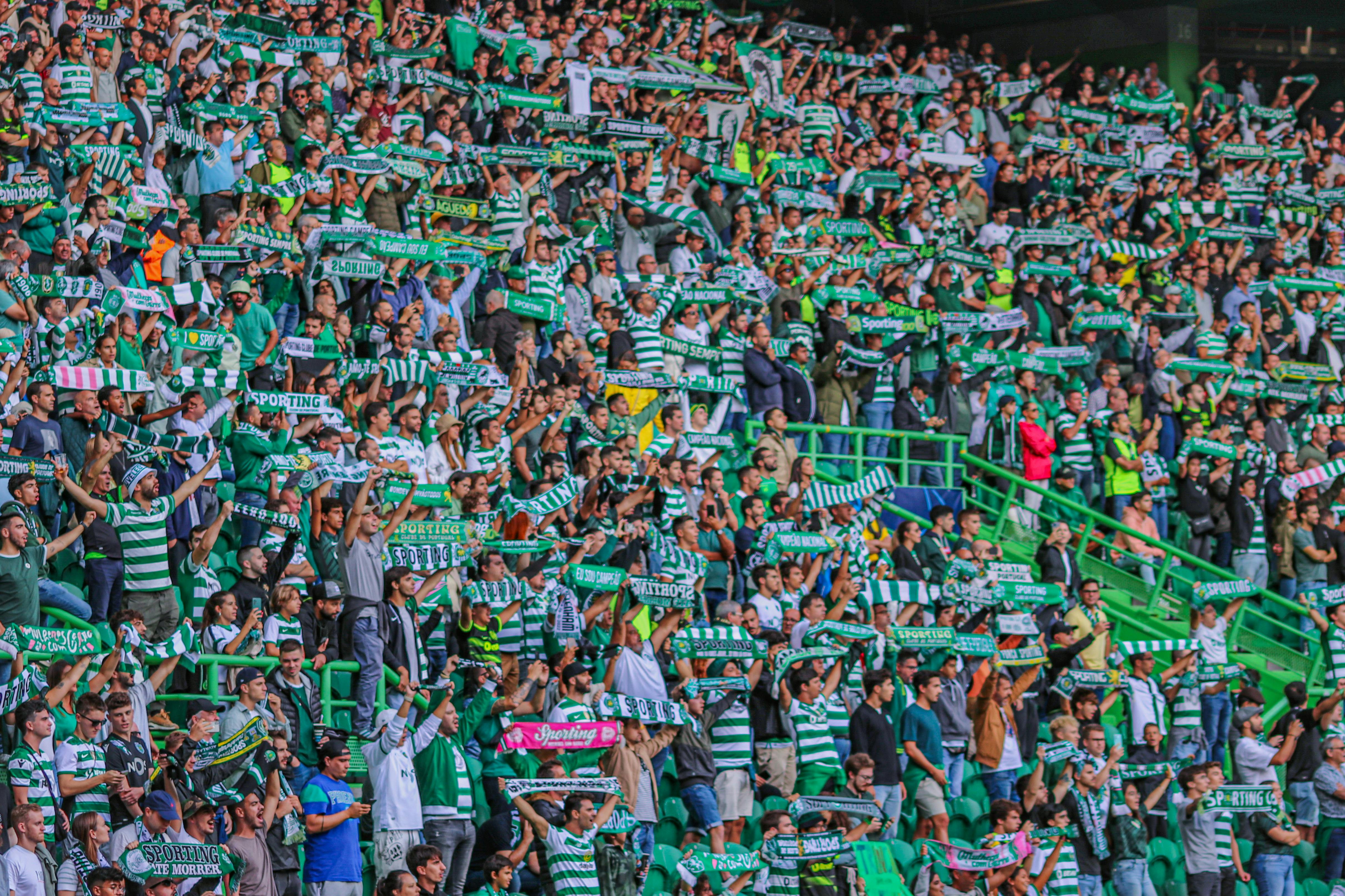 Sporting CP Fans · Free Stock Photo
