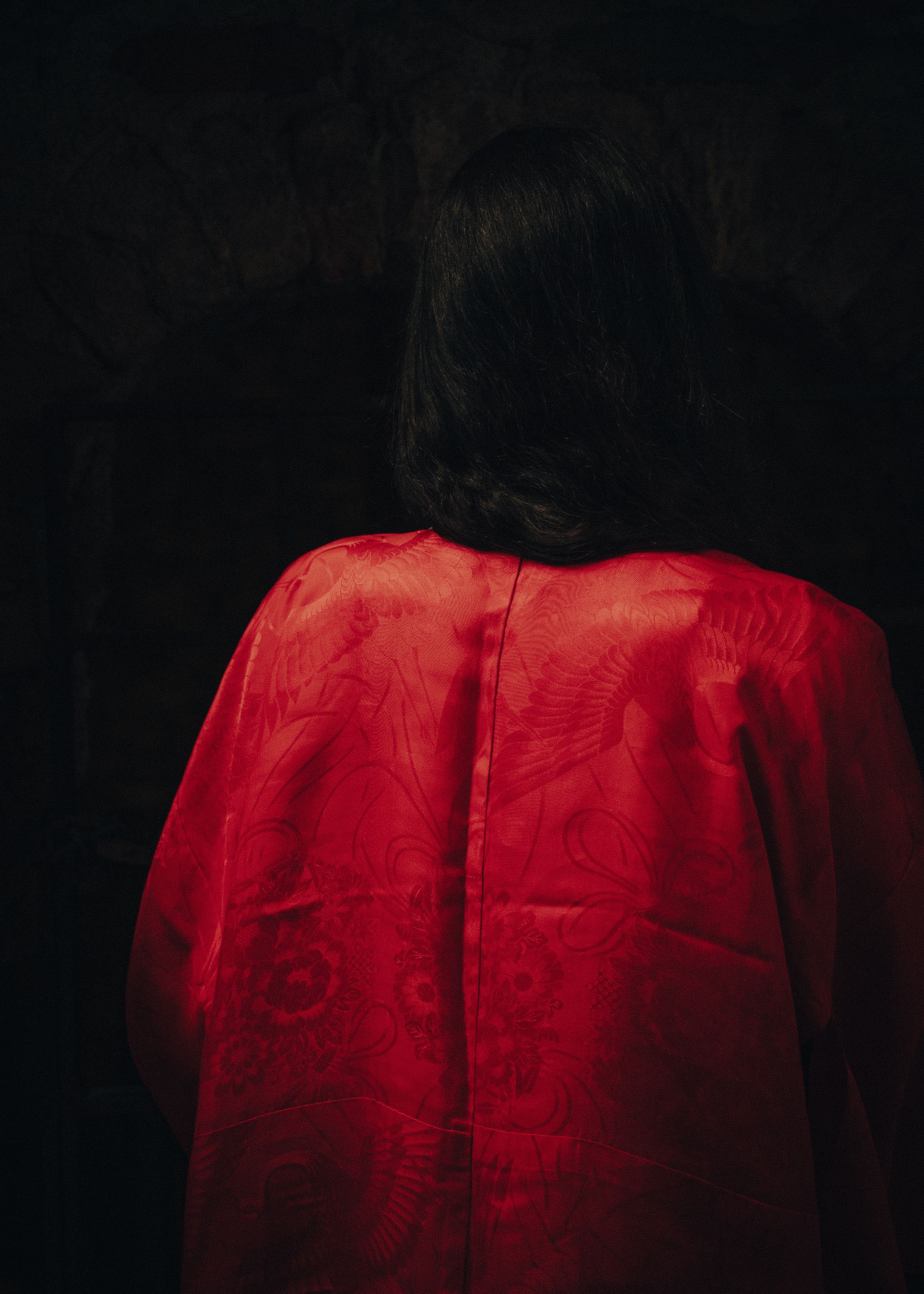 Back View of a Woman Wearing a Red Gown · Free Stock Photo