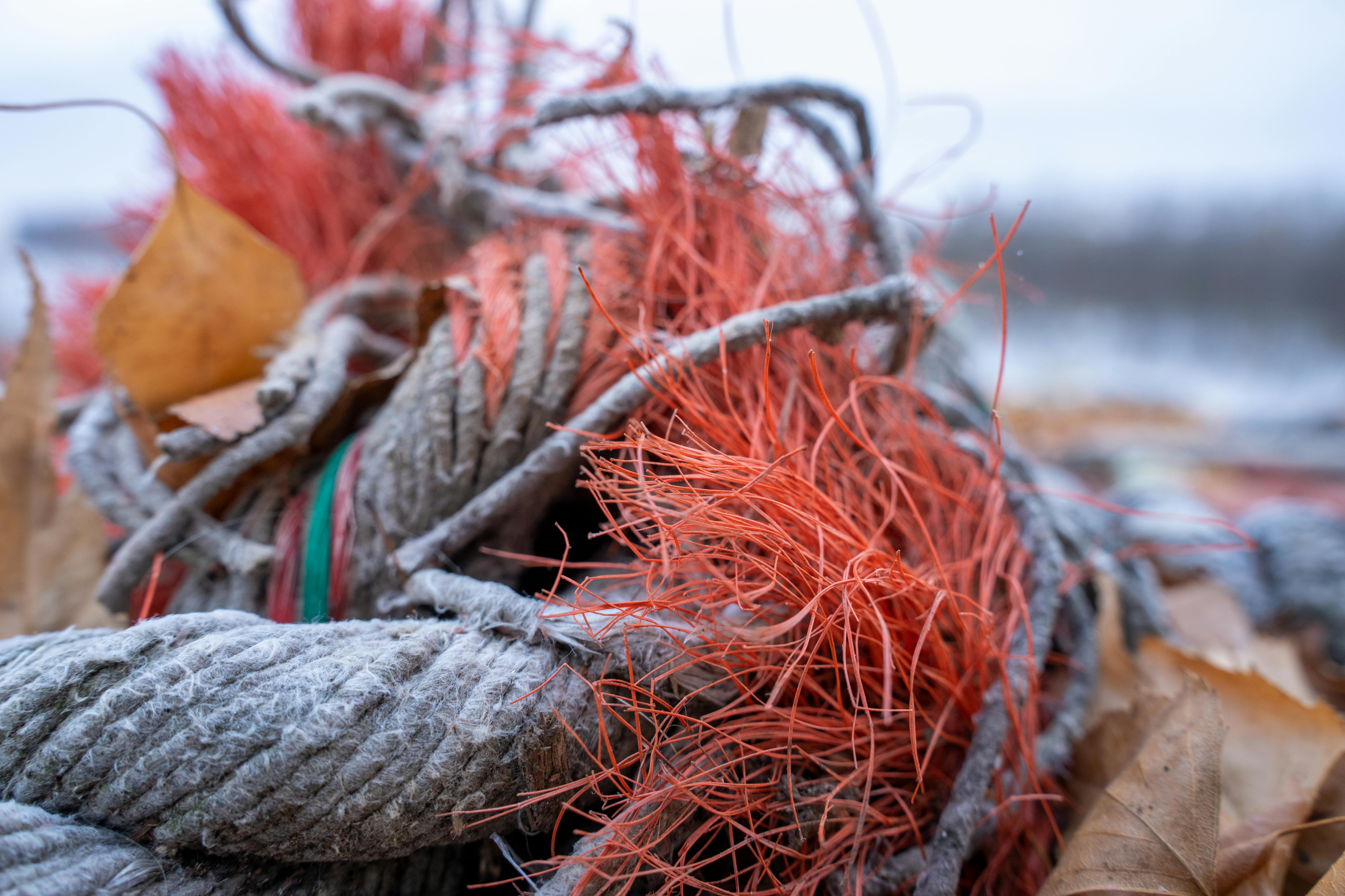 Tangled Ropes Lying Outdoors in Autumn · Free Stock Photo