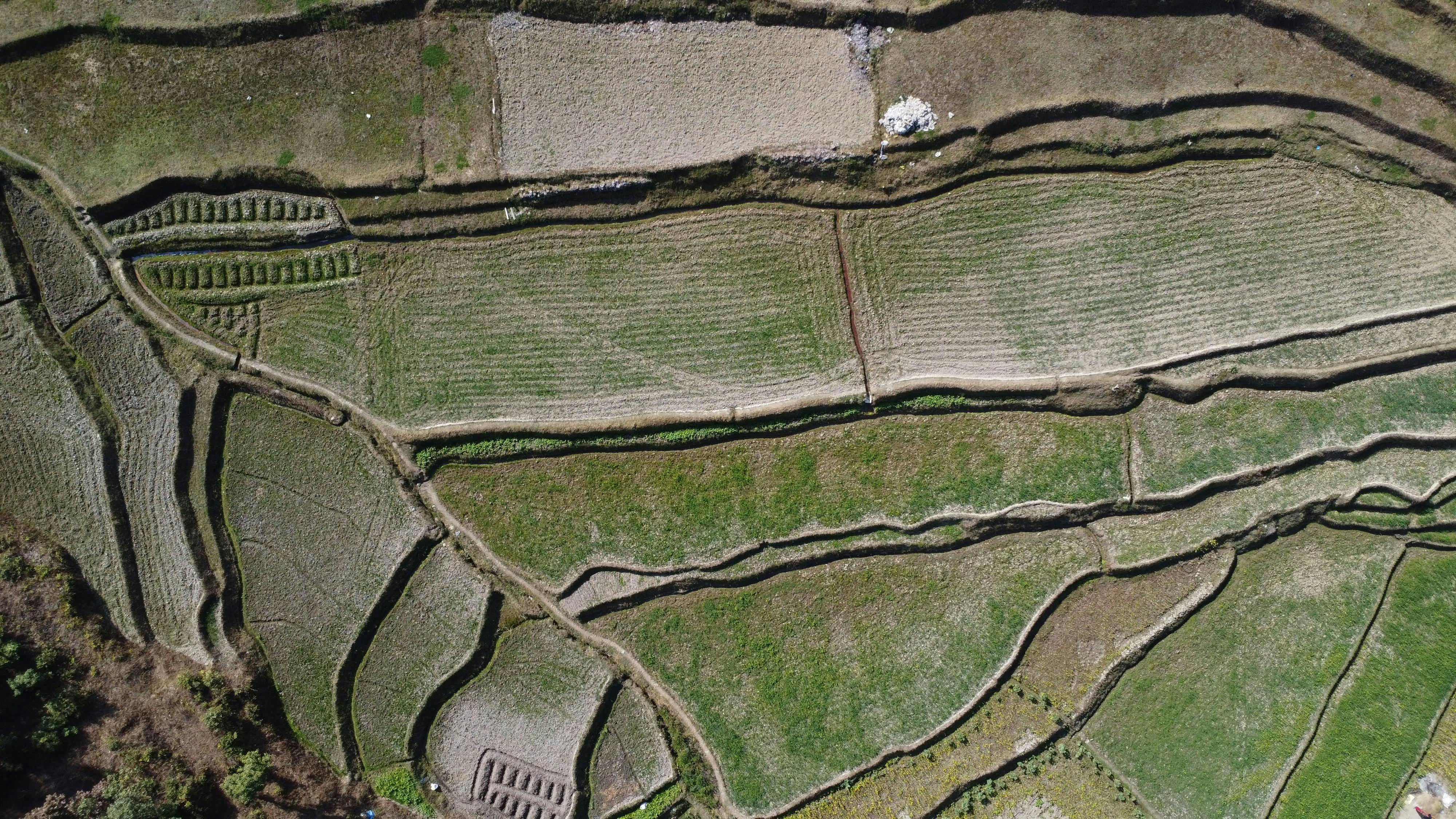 Aerial View of Fields on Terraced Slopes · Free Stock Photo