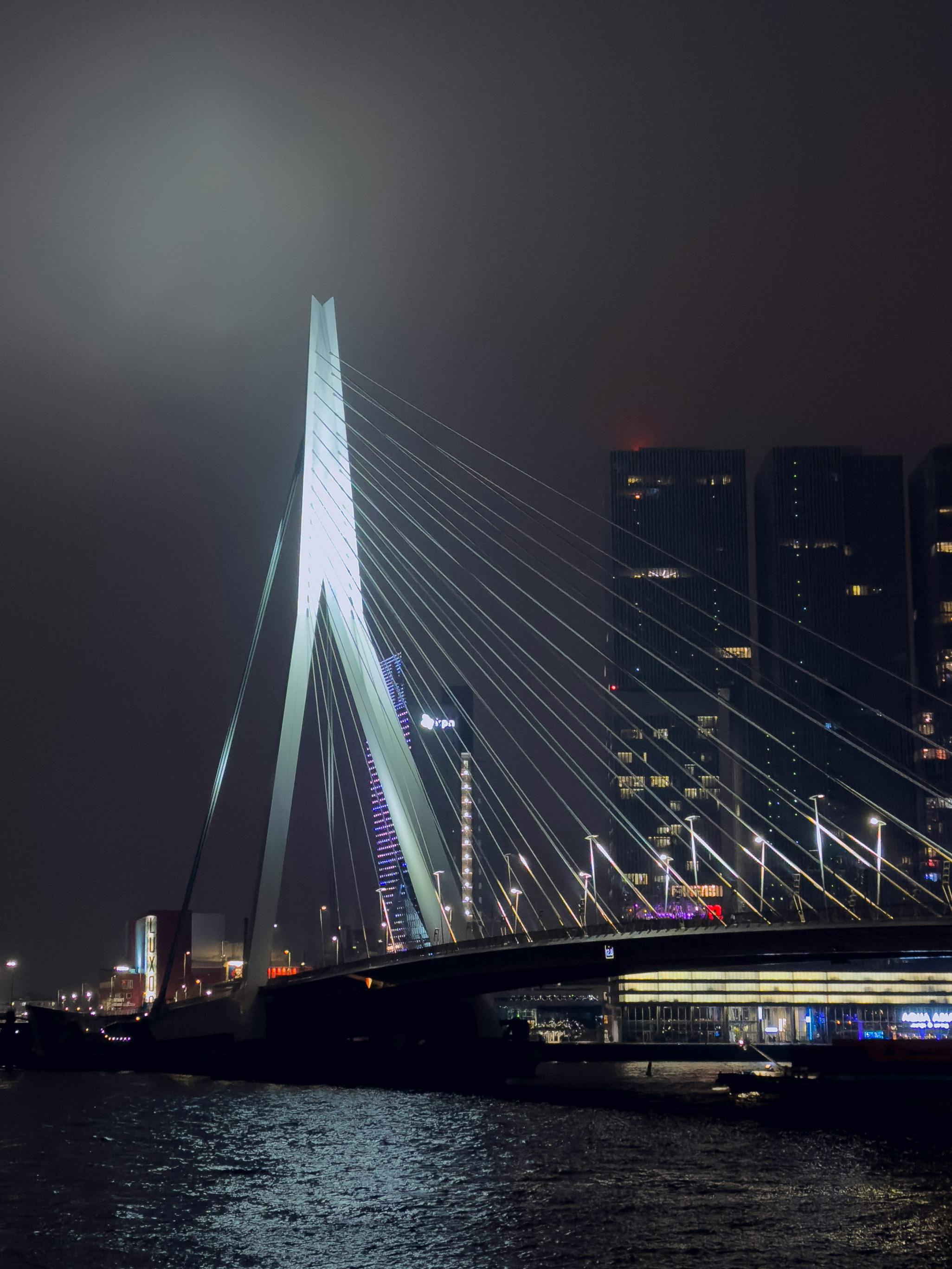 Erasmusbrug Bridge in Rotterdam at Night · Free Stock Photo